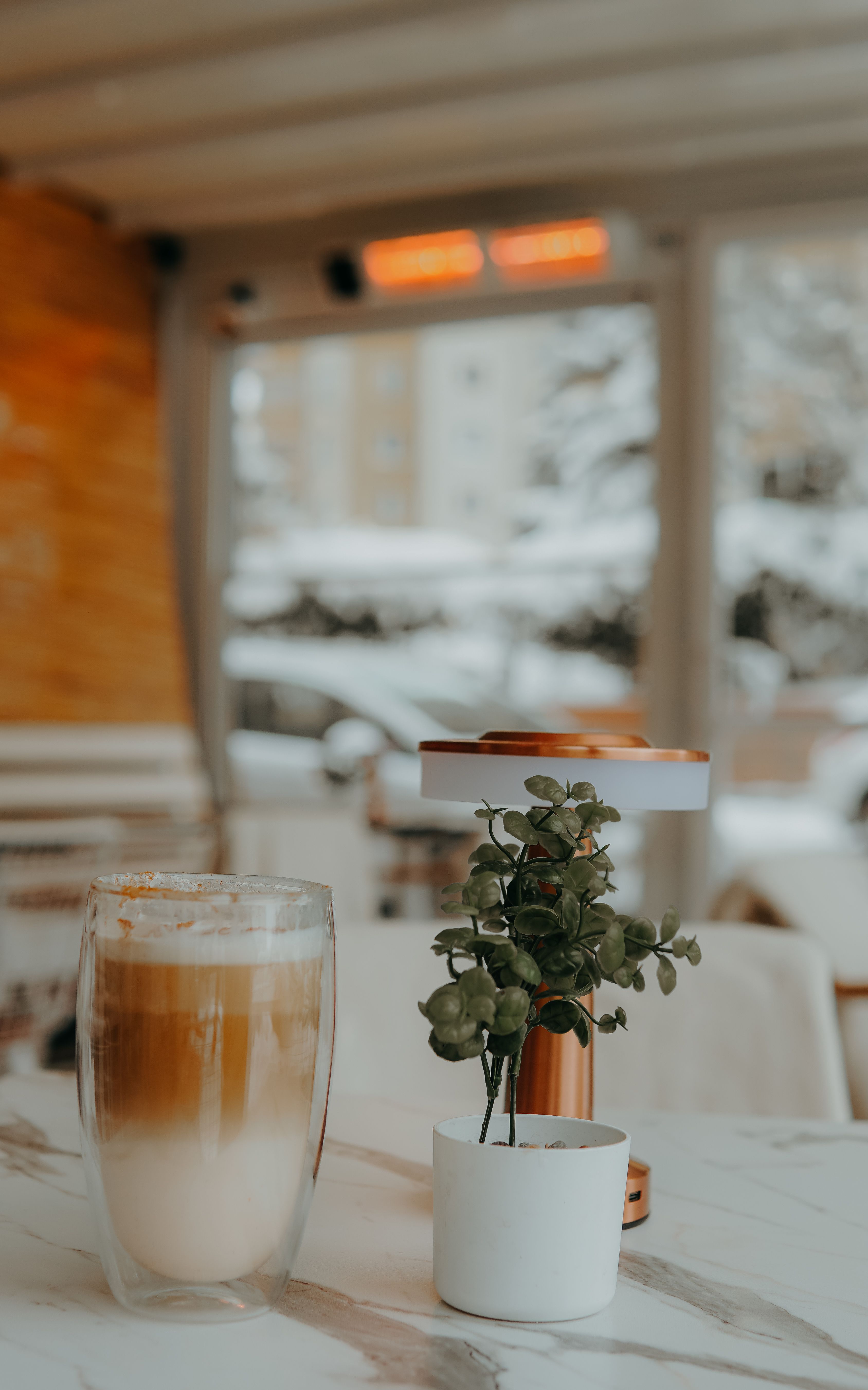 Cozy Cafe Setting with Latte and Plant Decor · Free Stock Photo