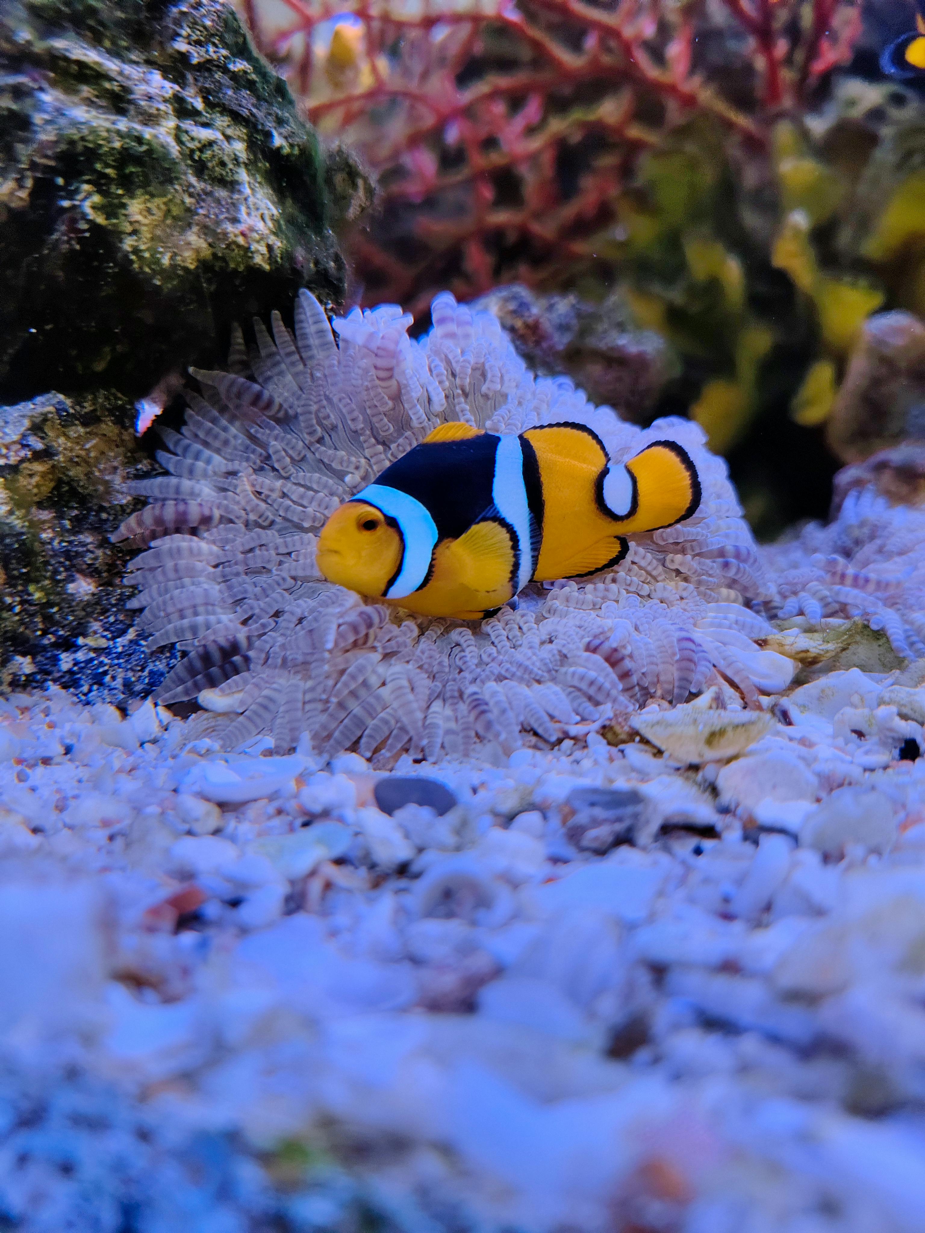 Praylin Jerish - Photography