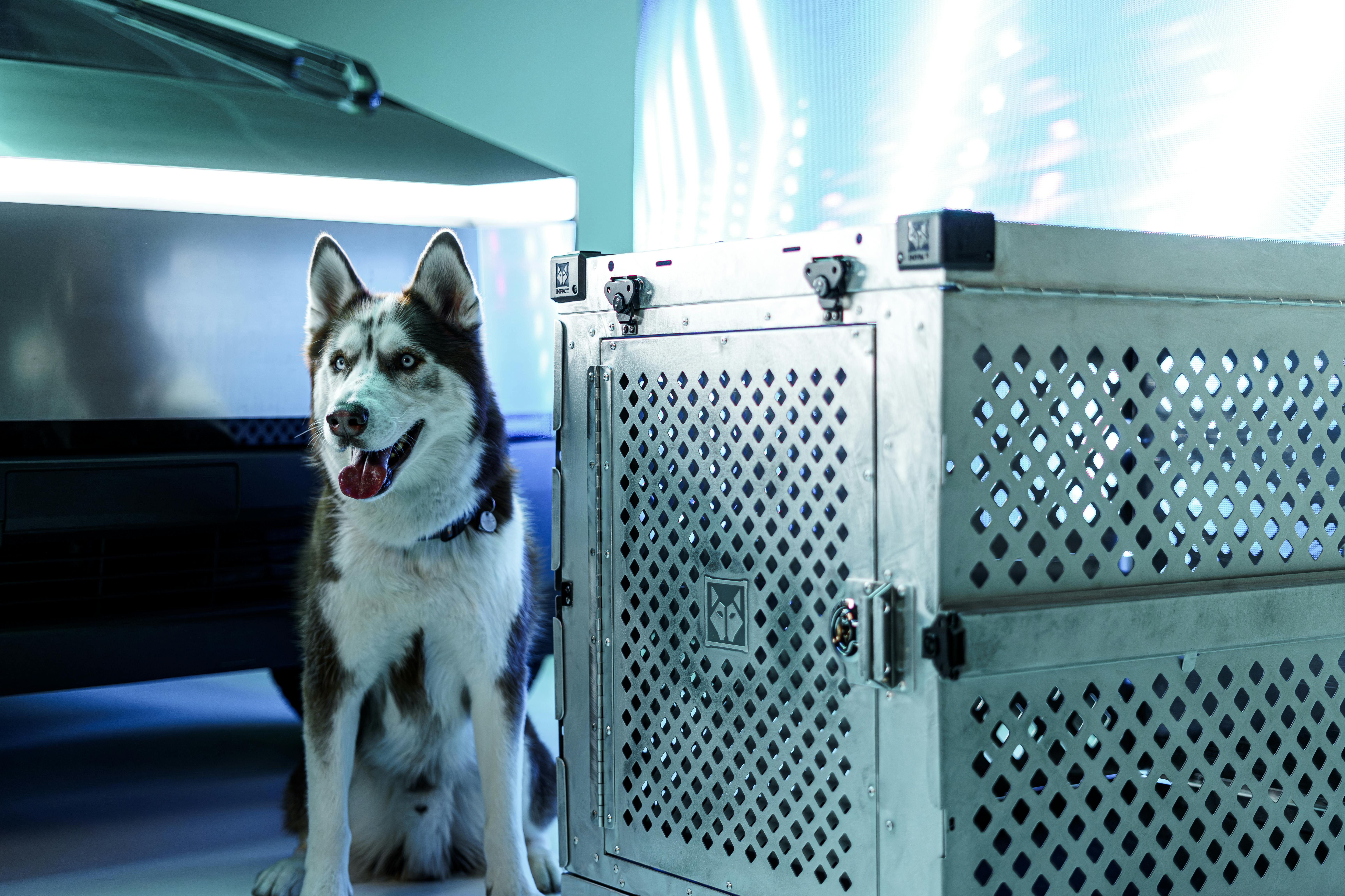 Siberian Husky and Modern Dog Crate in Futuristic Setting · Free Stock ...
