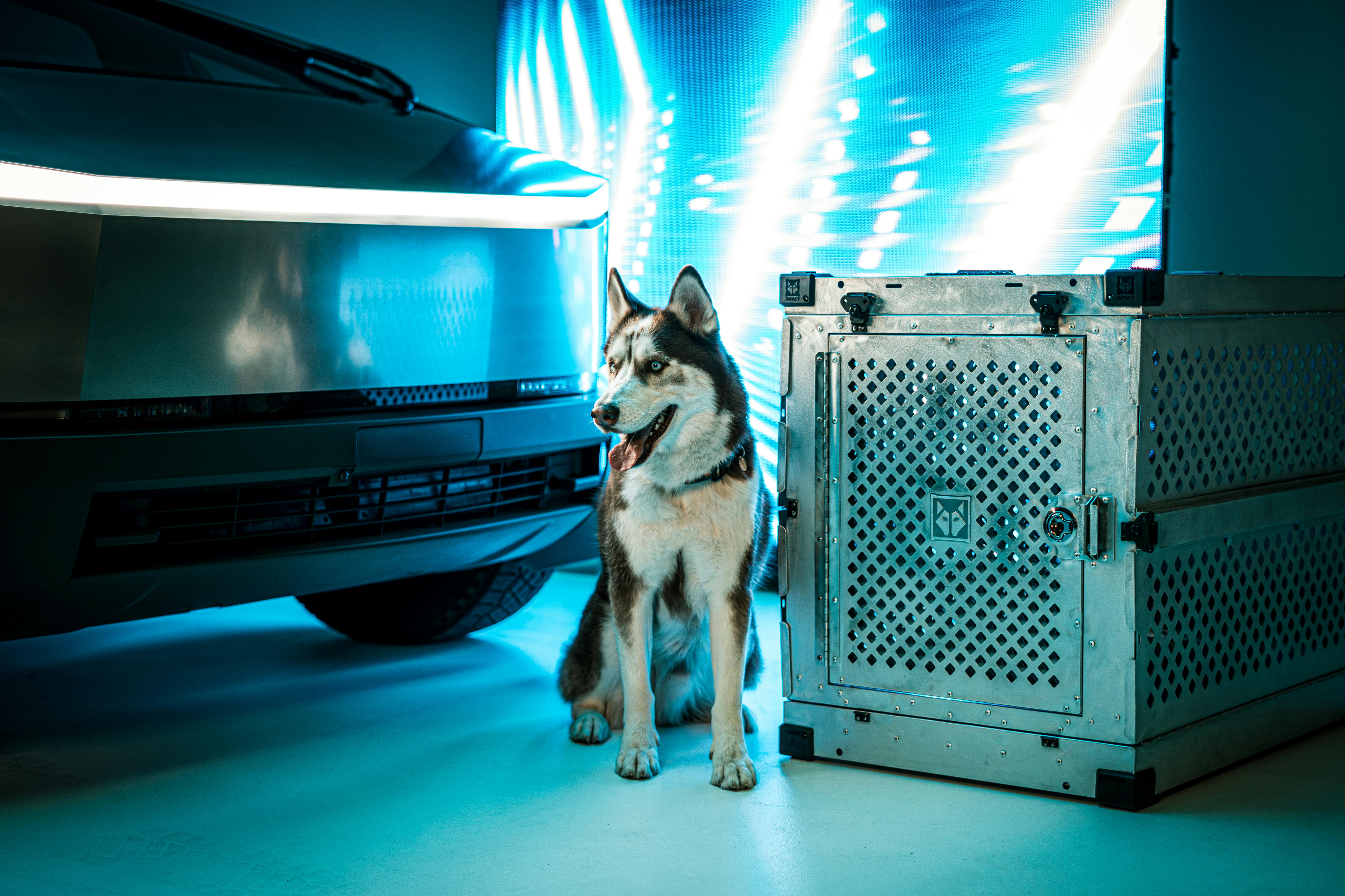 Futuristic Scene with Siberian Husky and Dog Crate · Free Stock Photo