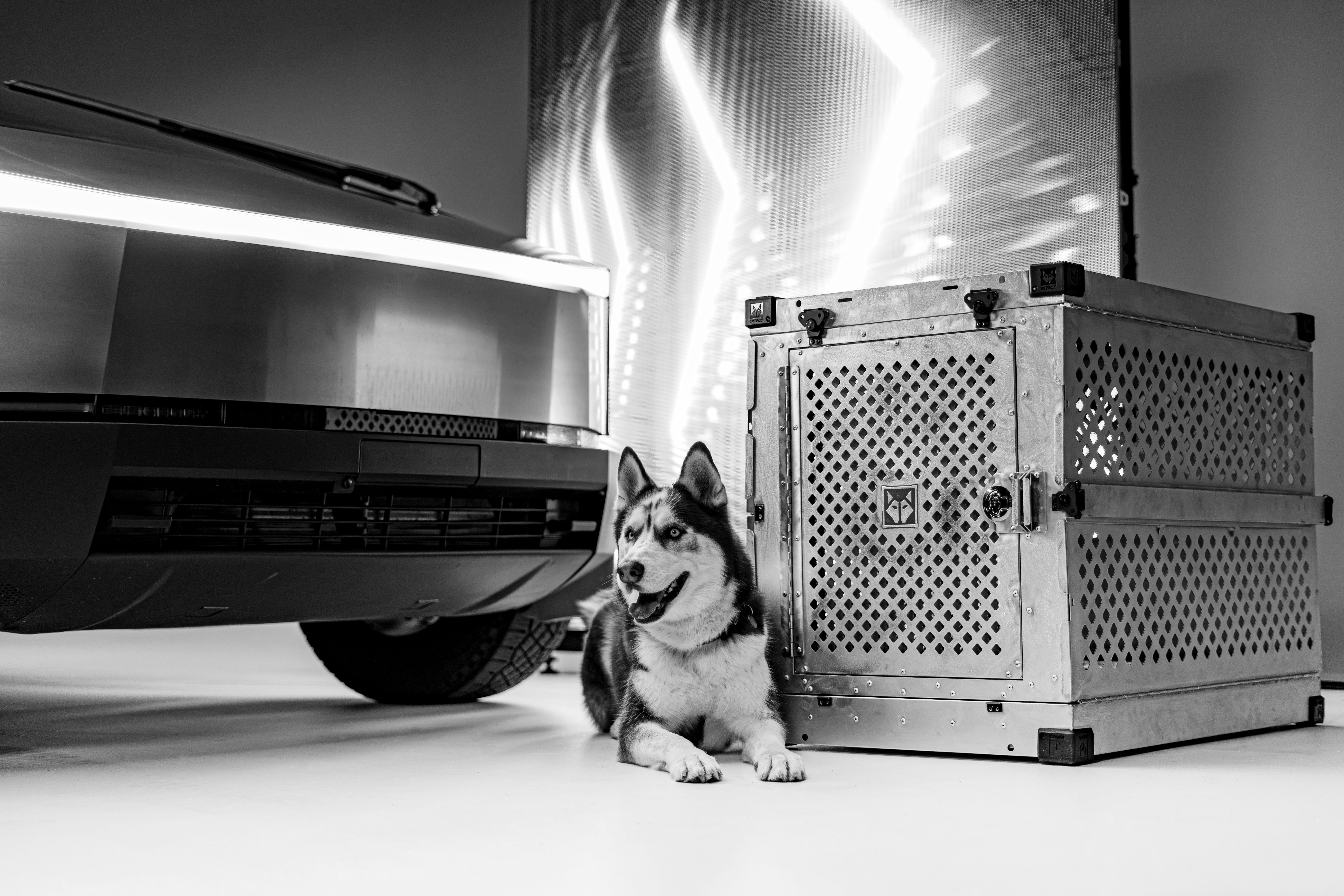 Siberian Husky and Cybertruck in Modern Studio Shot · Free Stock Photo