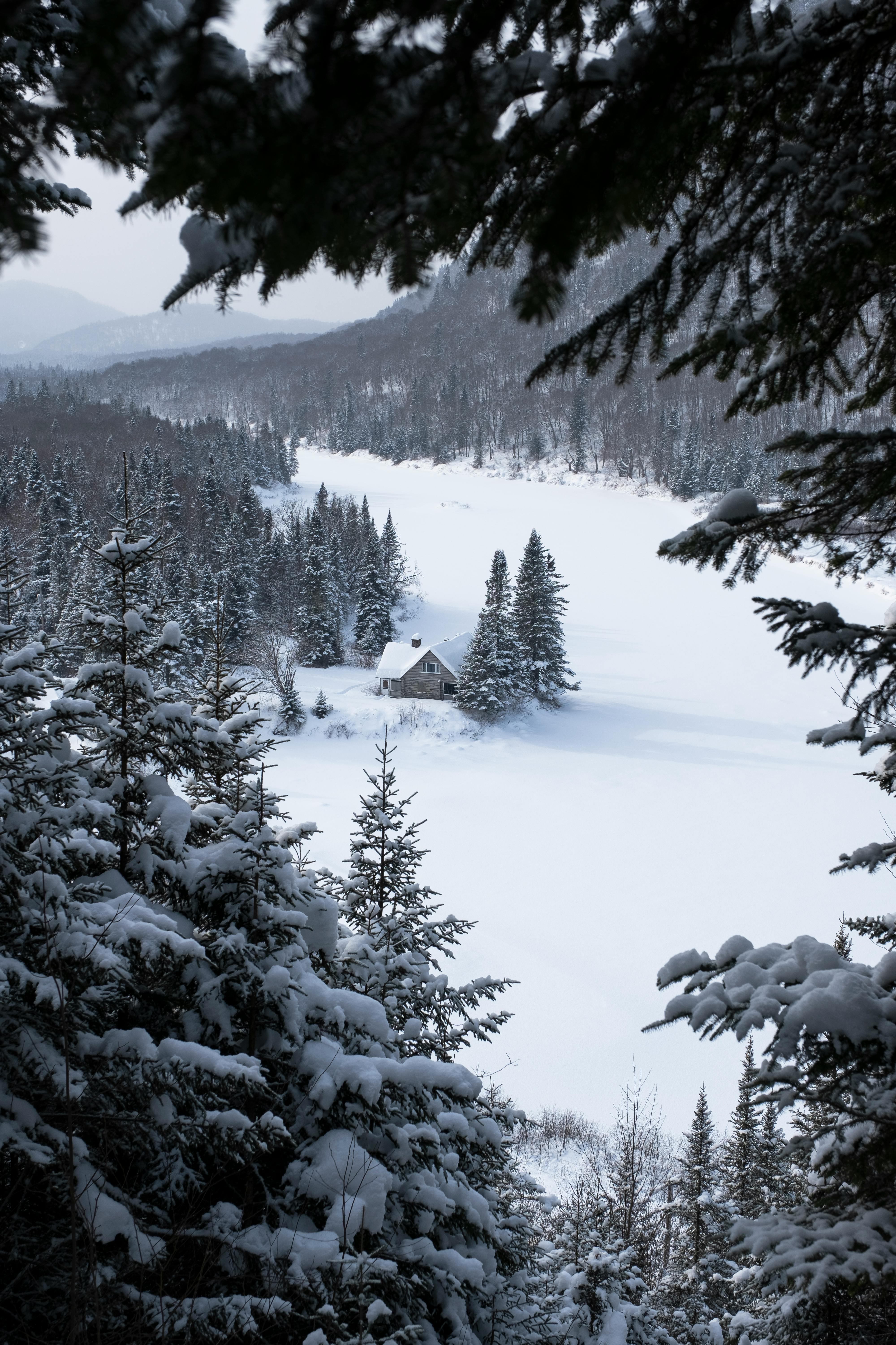 Paesaggio Innevato Nel Paese Delle Meraviglie Invernali Del Québec ...