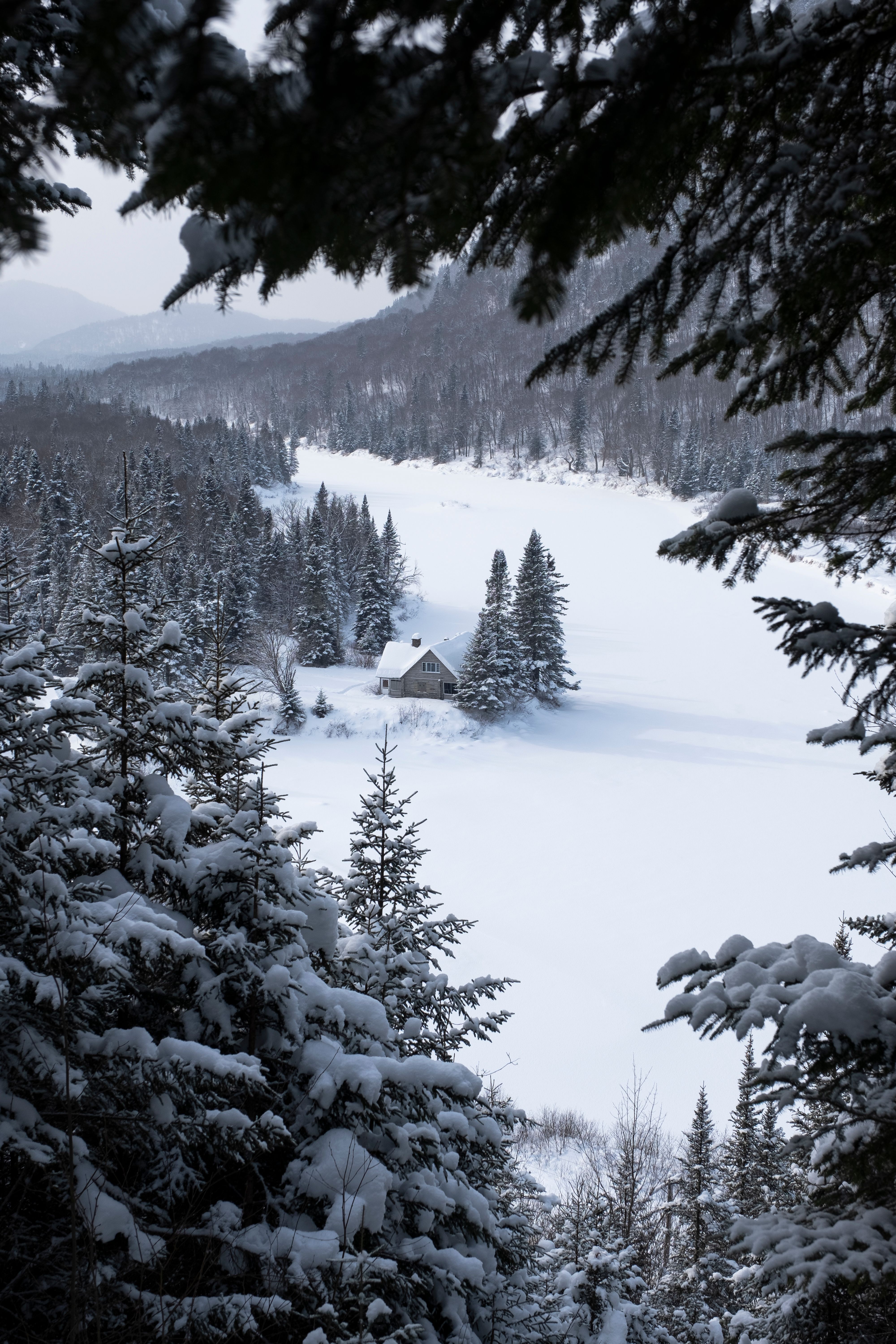 Paysage Enneigé Au Pays Des Merveilles Hivernales Du Québec · Photo ...