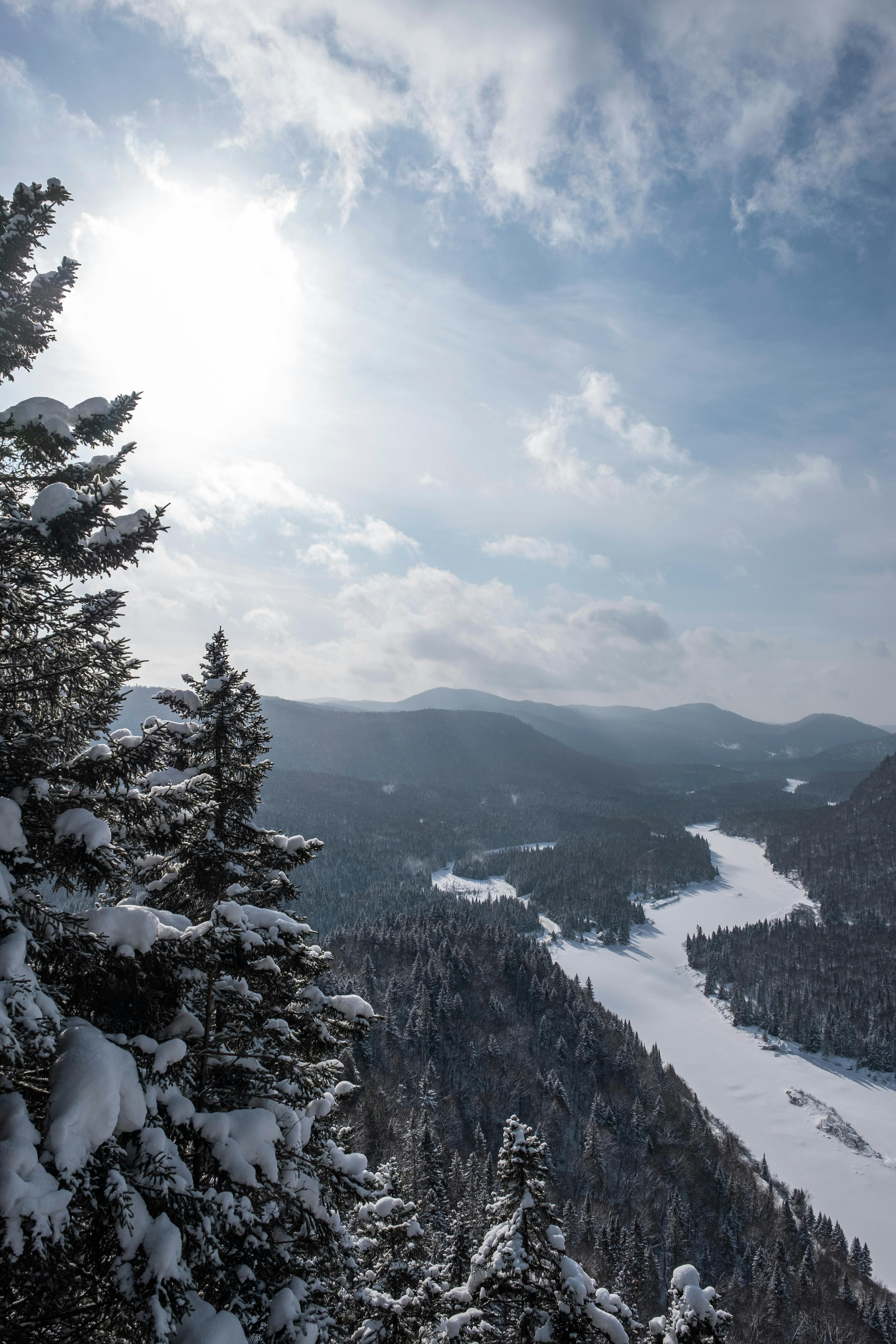 Stunning Winter Landscape in Québec Mountains · Free Stock Photo