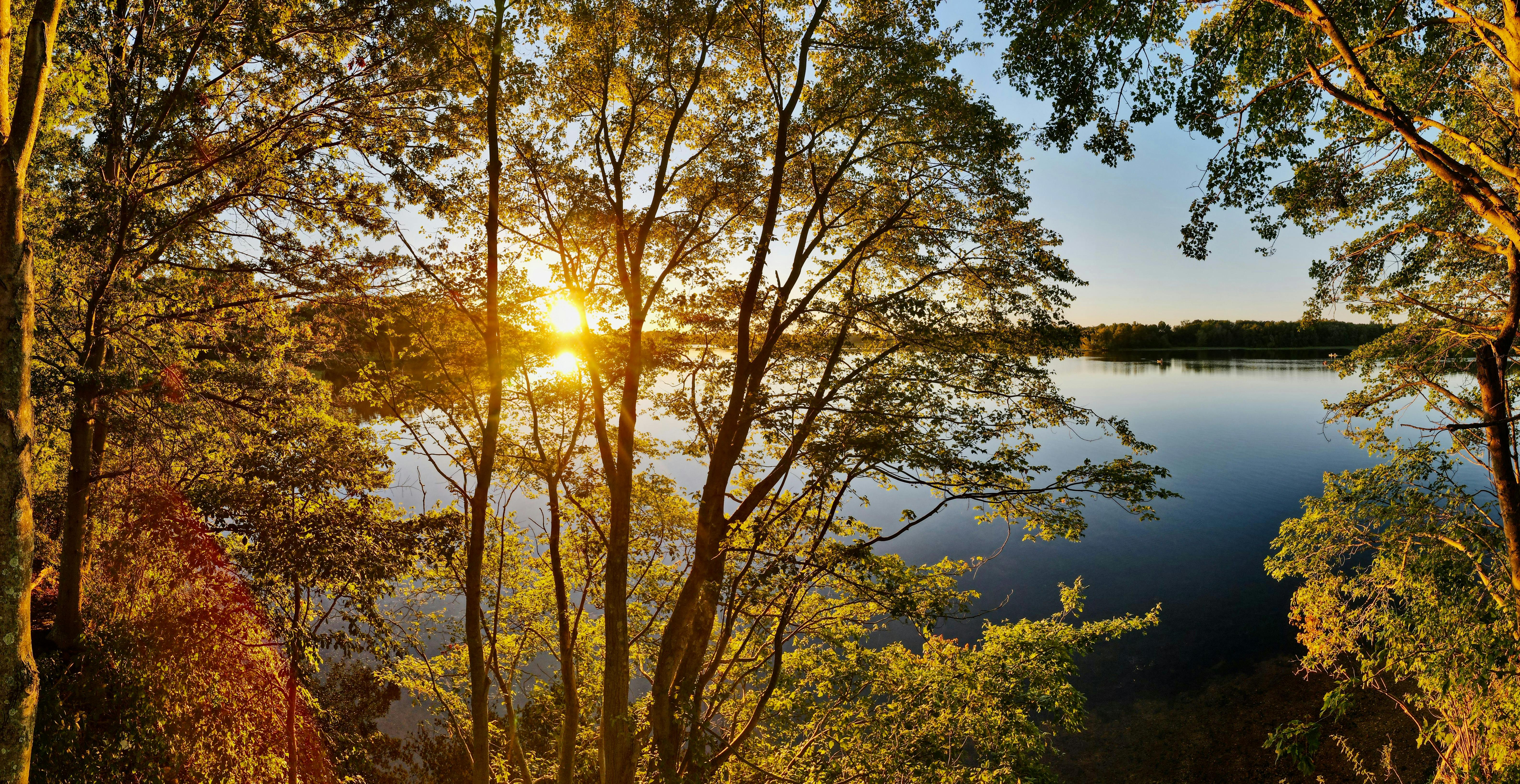 Scenic Lake View with Sunrise through Trees · Free Stock Photo