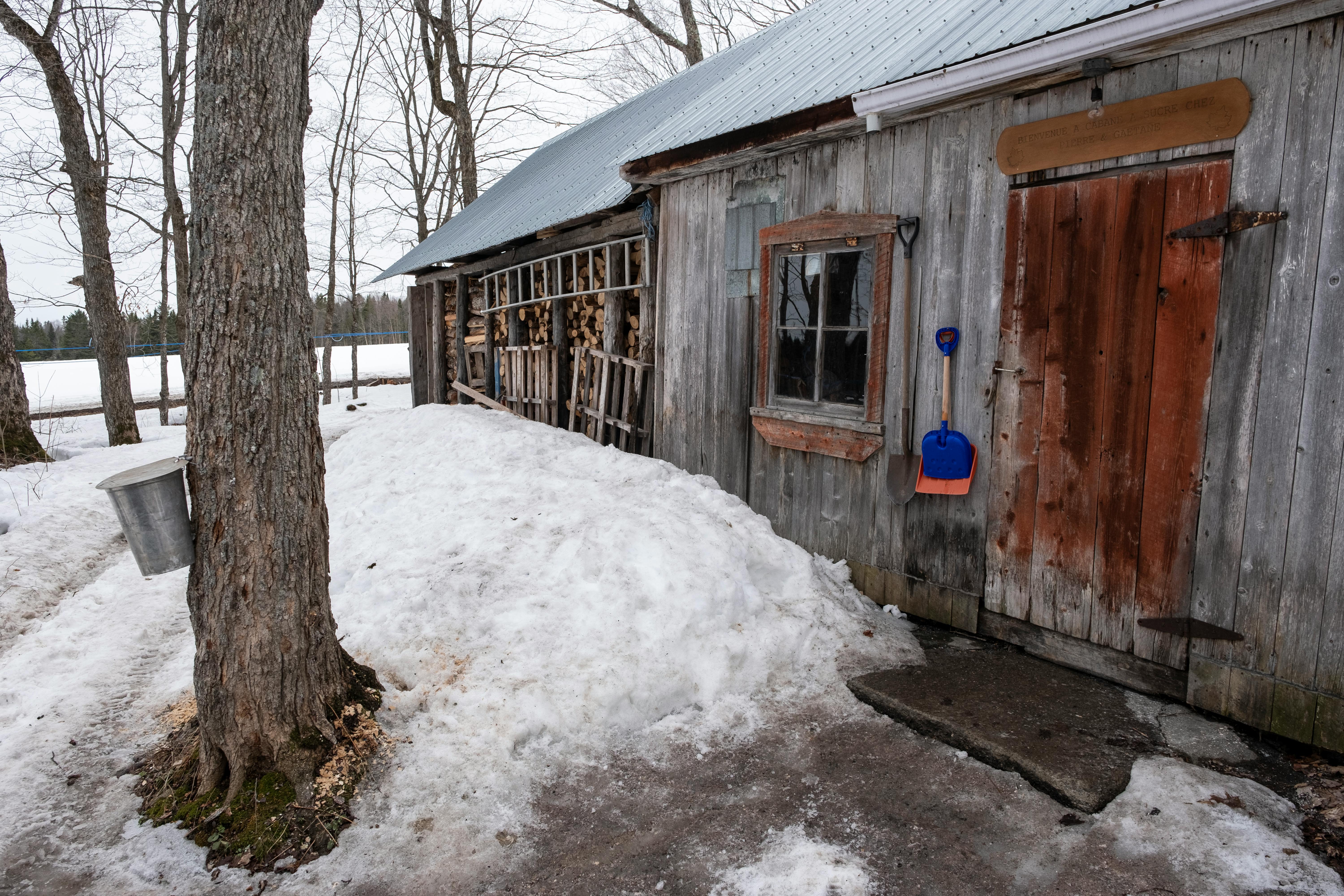 Rustic Canadian Sugar Shack in Winter · Free Stock Photo