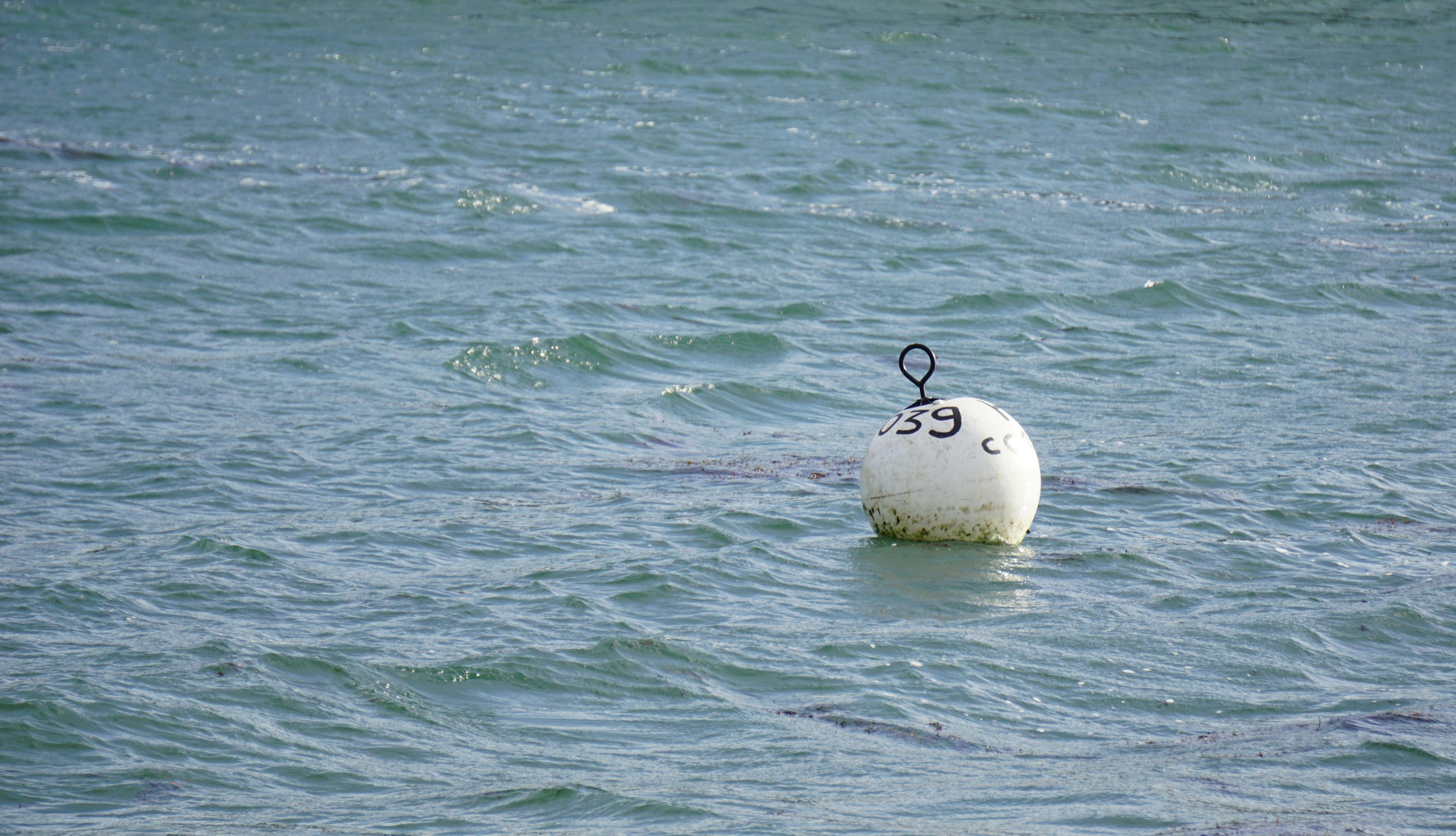 Boya Blanca Flotando En La Superficie Del Océano · Foto de stock gratuita