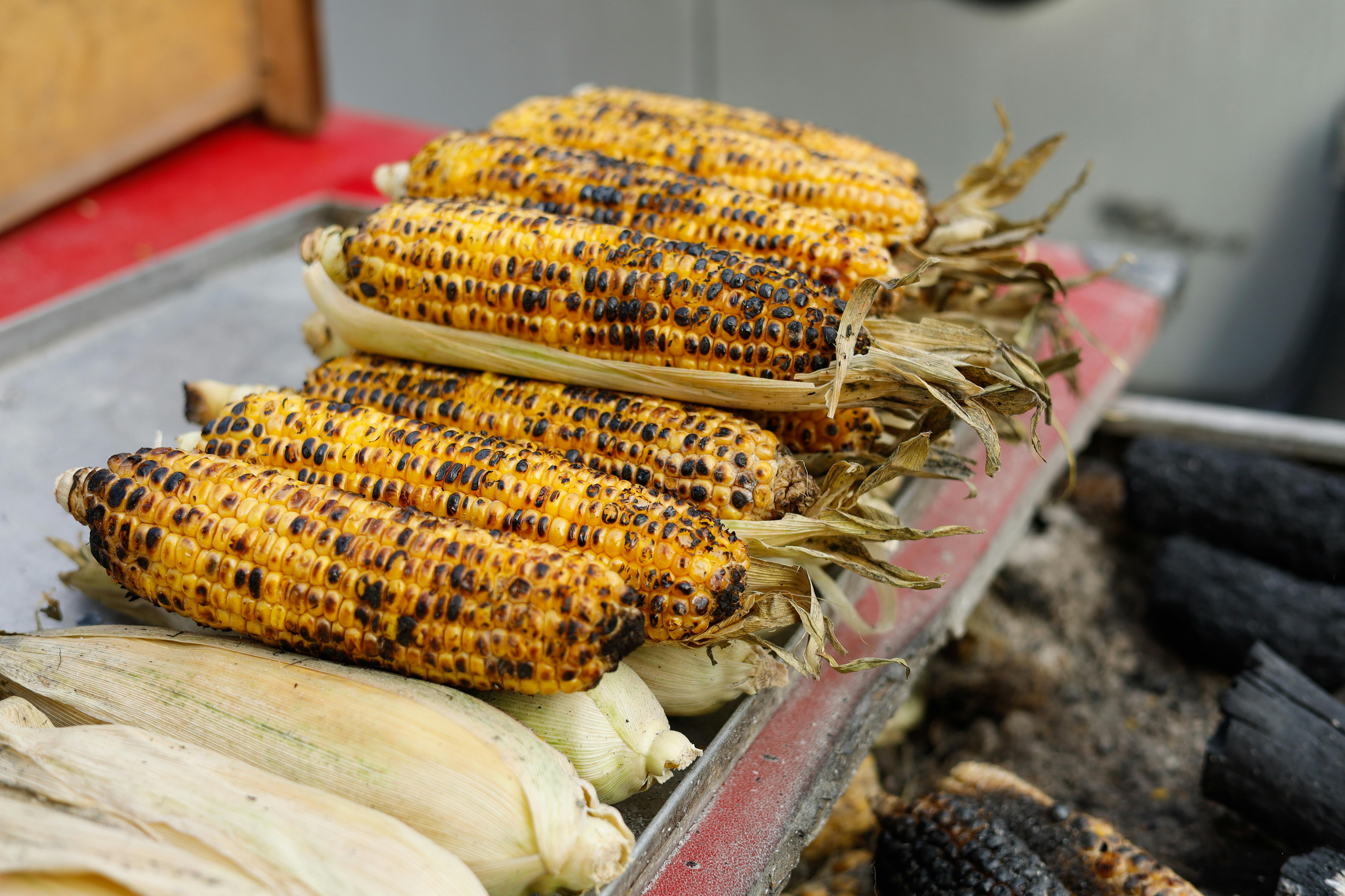 Grilled Corn Displayed at Food Stall · Free Stock Photo