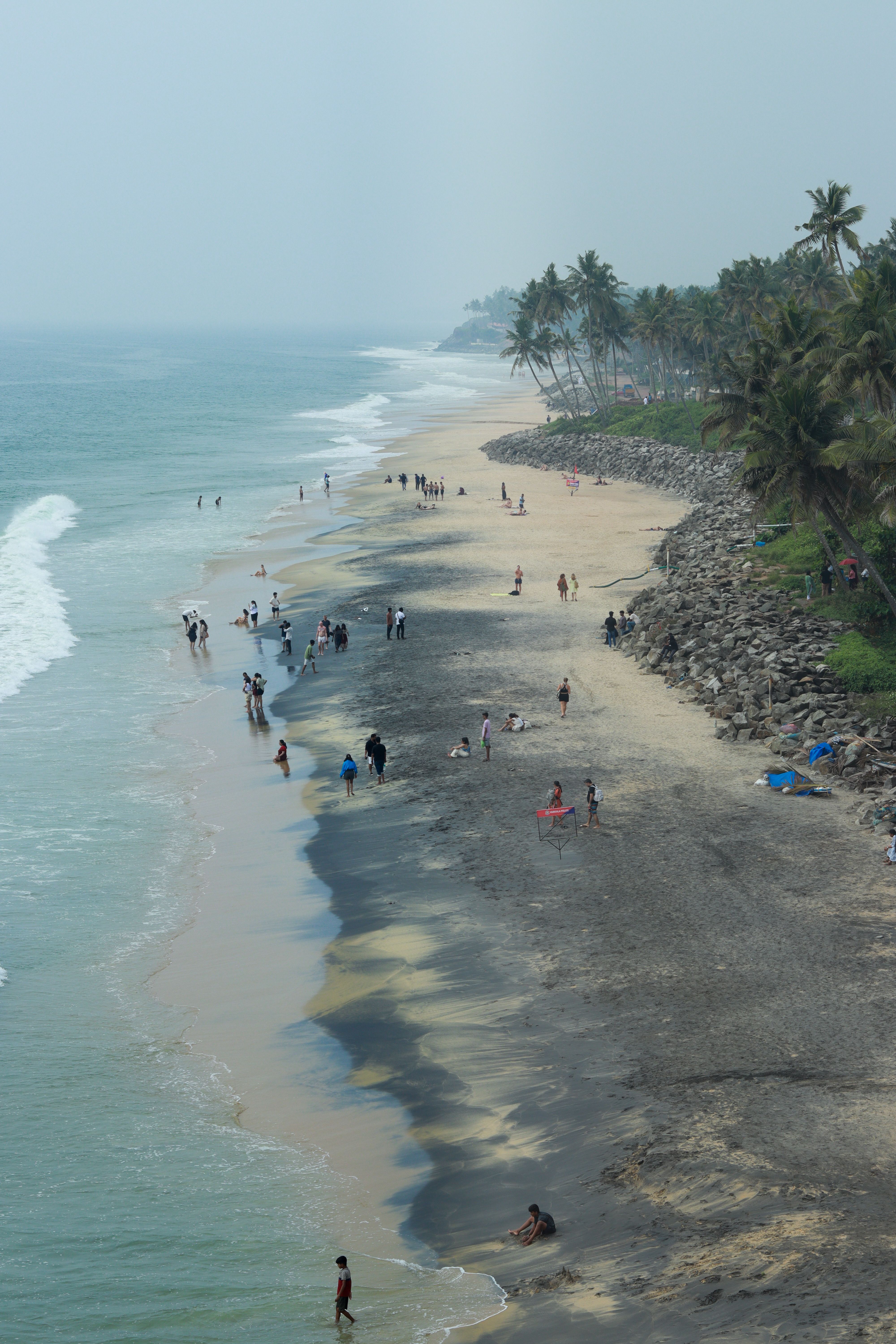 Stunning View of Kerala Beach with Palm Trees · Free Stock Photo