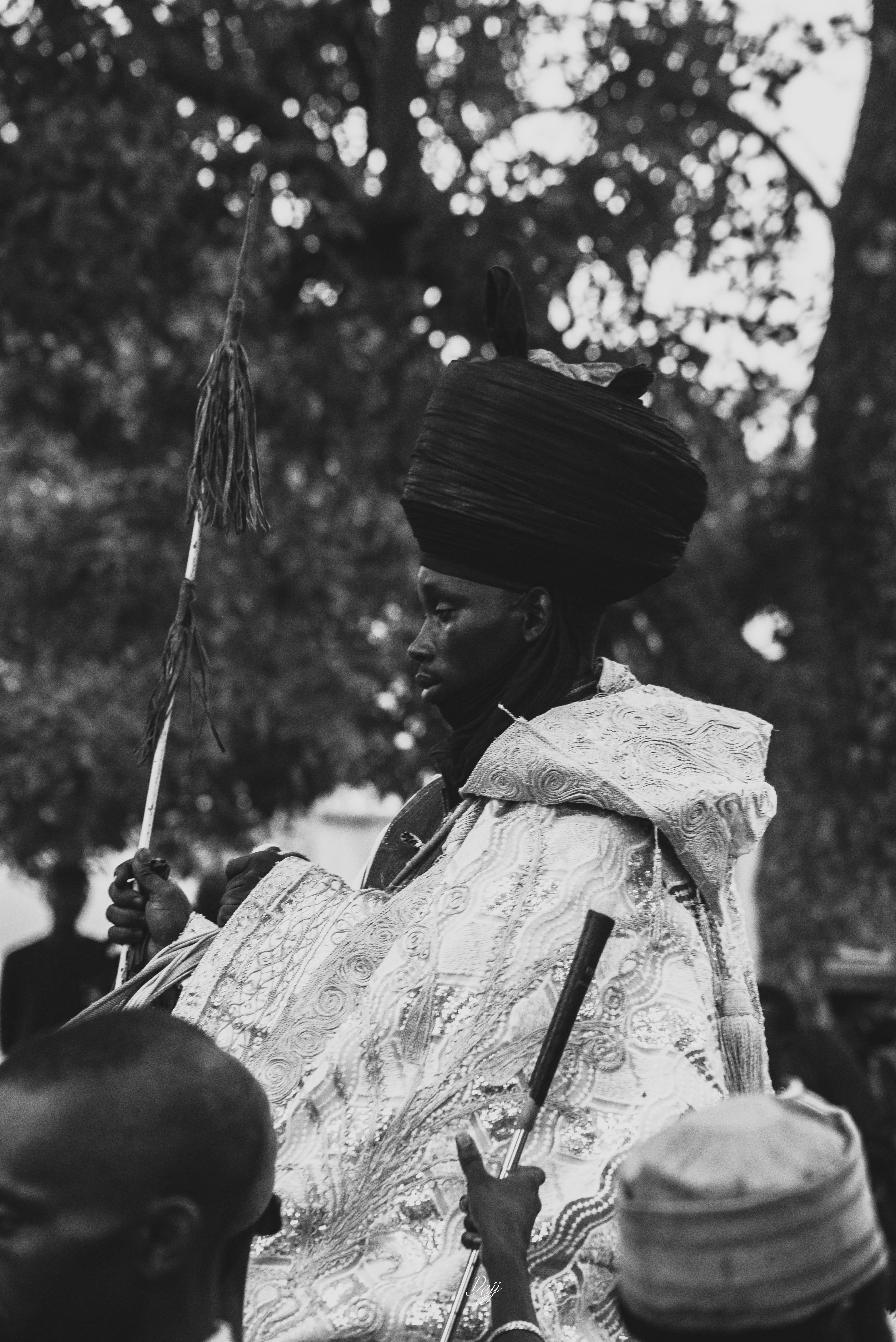 Traditional Nigerian Royal Celebration in Kaduna · Free Stock Photo