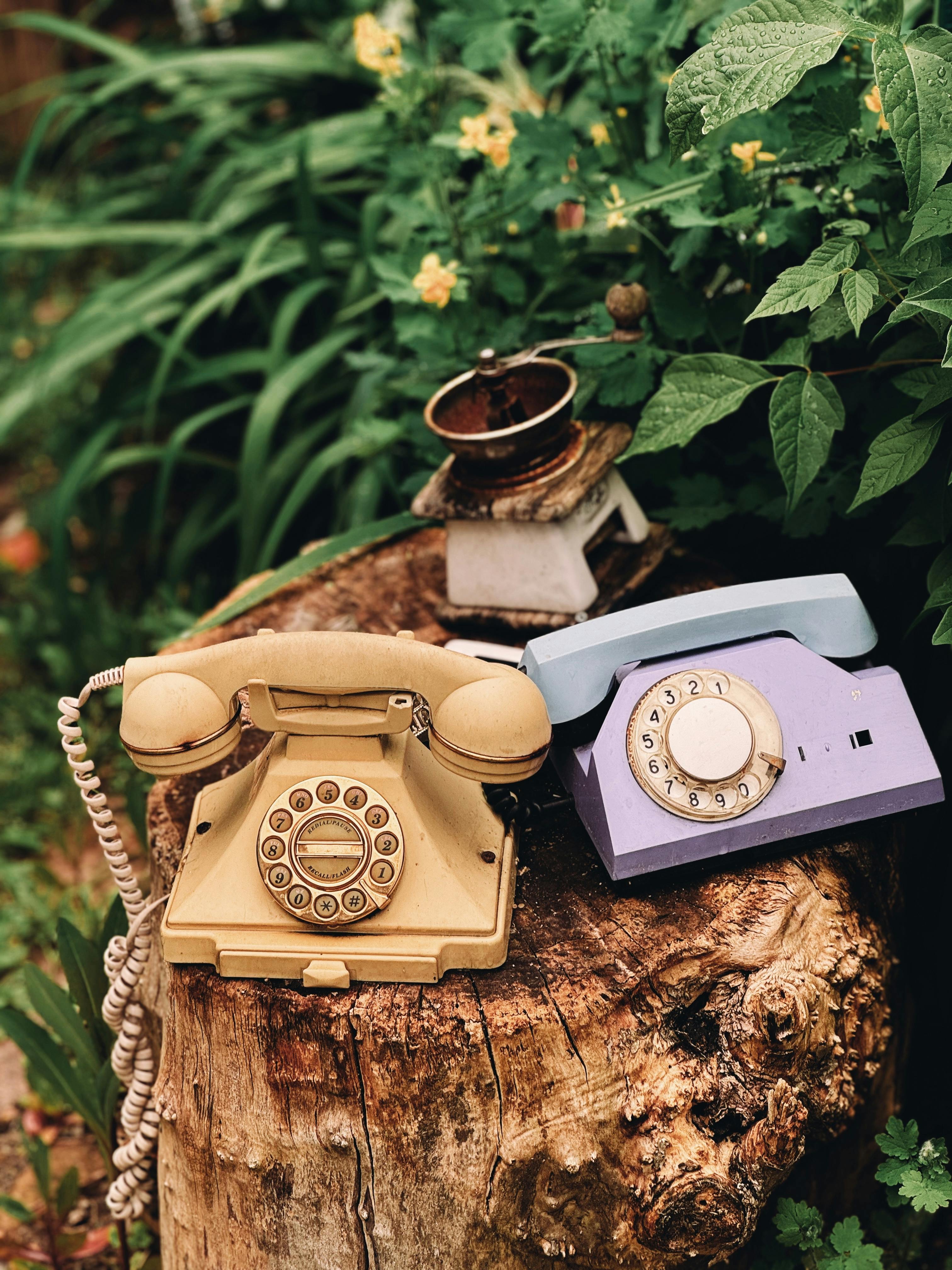 Vintage Rotary Phones on Tree Stump Outdoors · Free Stock Photo