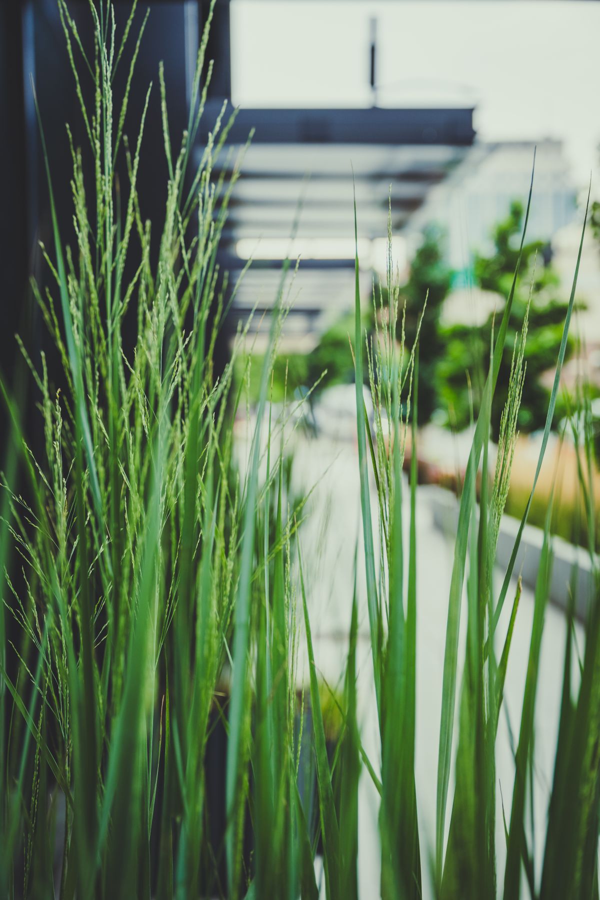 Vertical Background Photos, Download The BEST Free Vertical Background ...