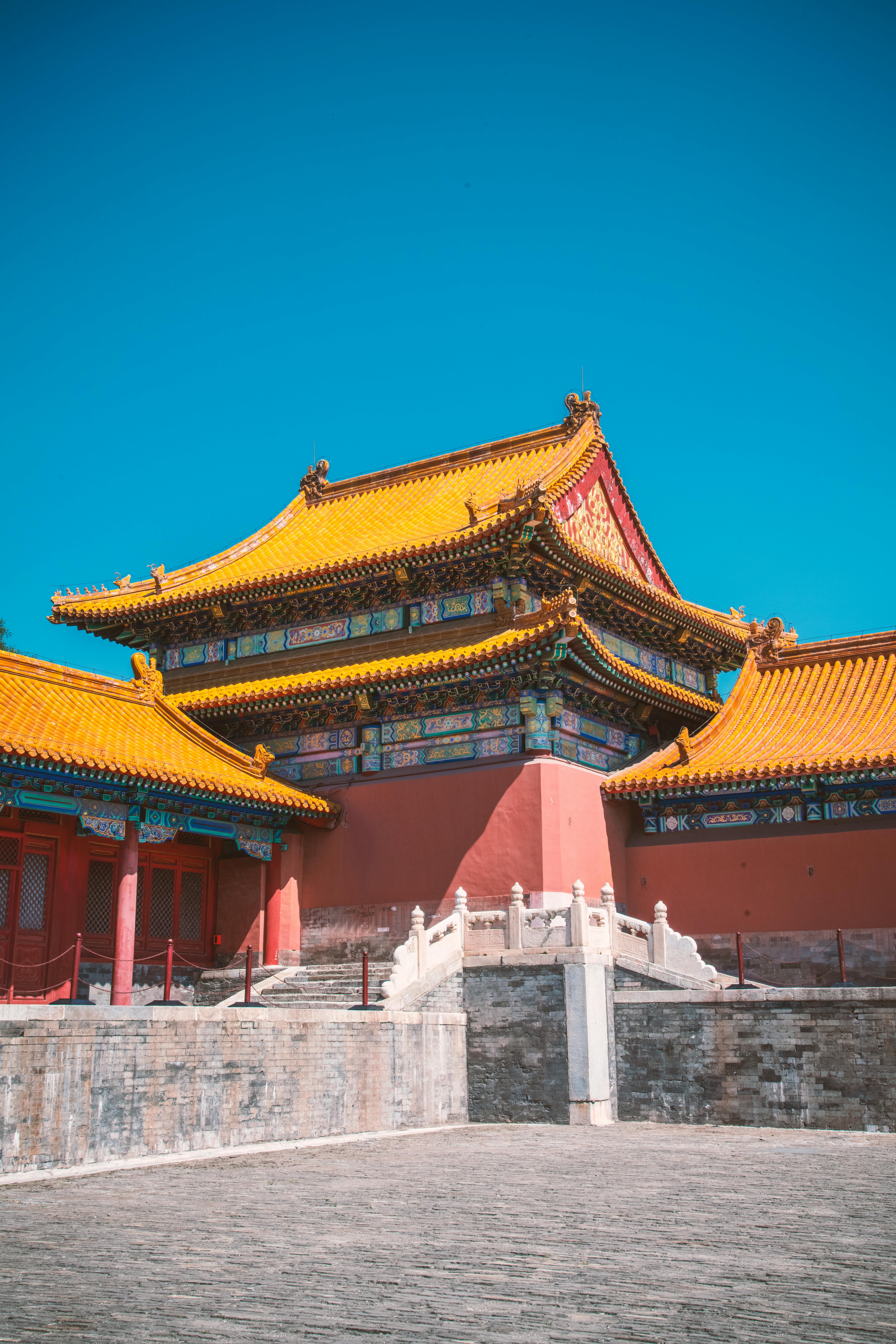 China Panda Photos, Download The BEST Free China Panda Stock Photos ...