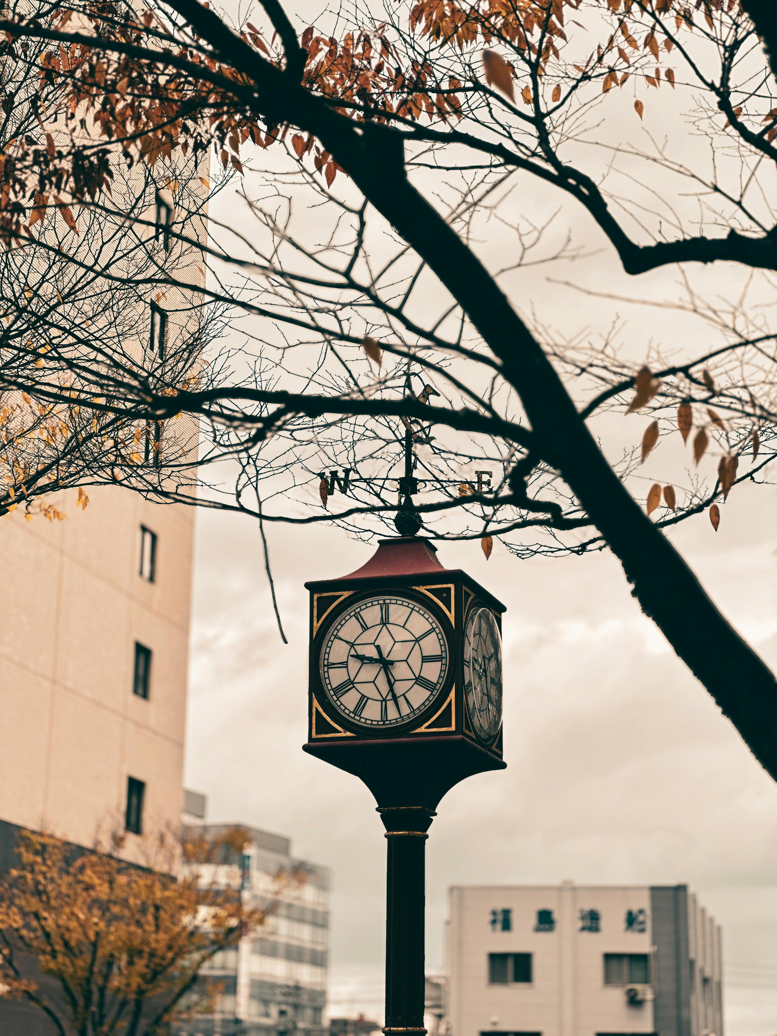 Vintage Clock Tower in Urban Fall Setting · Free Stock Photo