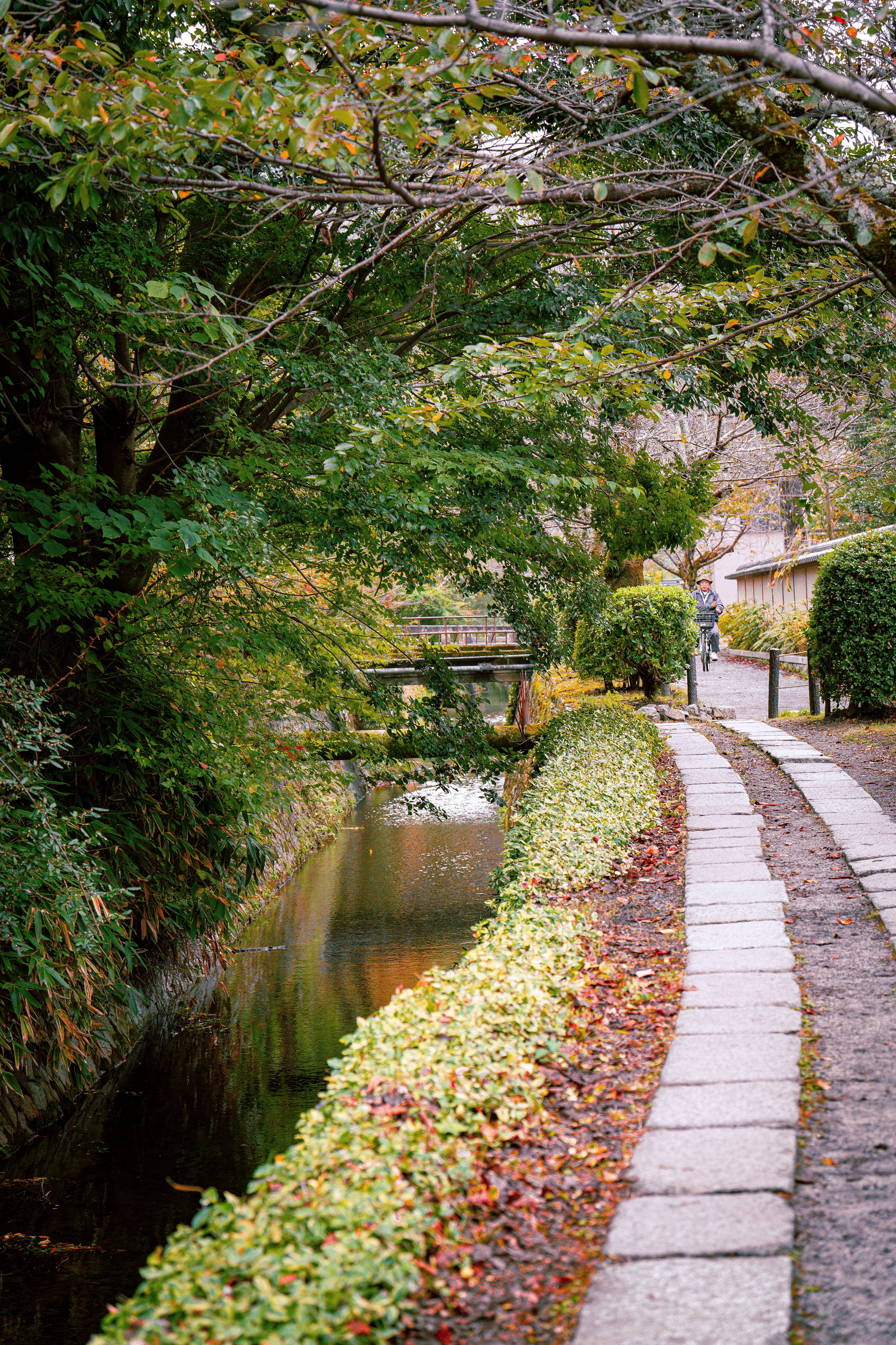 Kyoto Philosopher Path Photos, Download The BEST Free Kyoto Philosopher ...