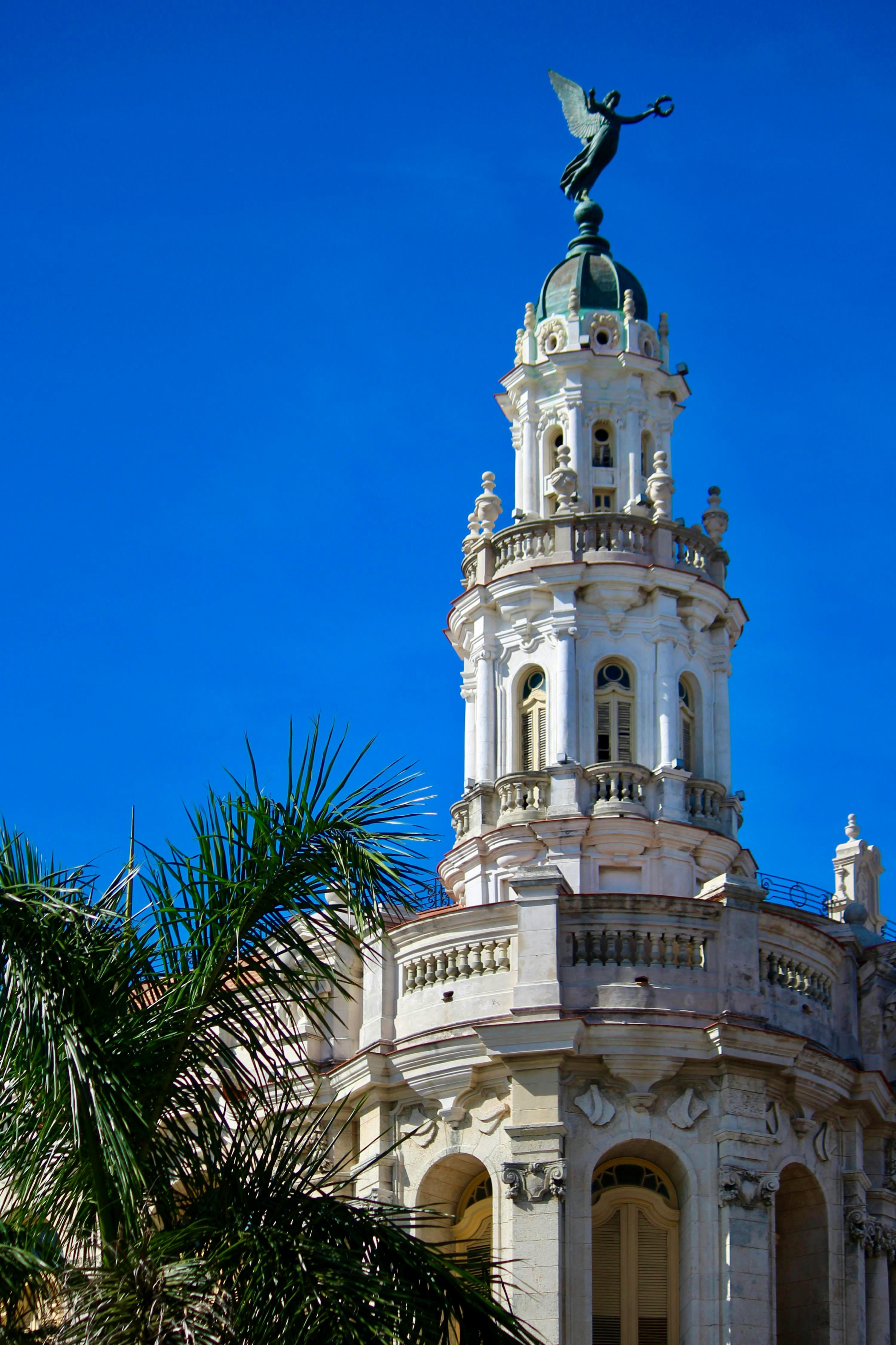 Palm Angel Photos, Download The BEST Free Palm Angel Stock Photos & HD ...