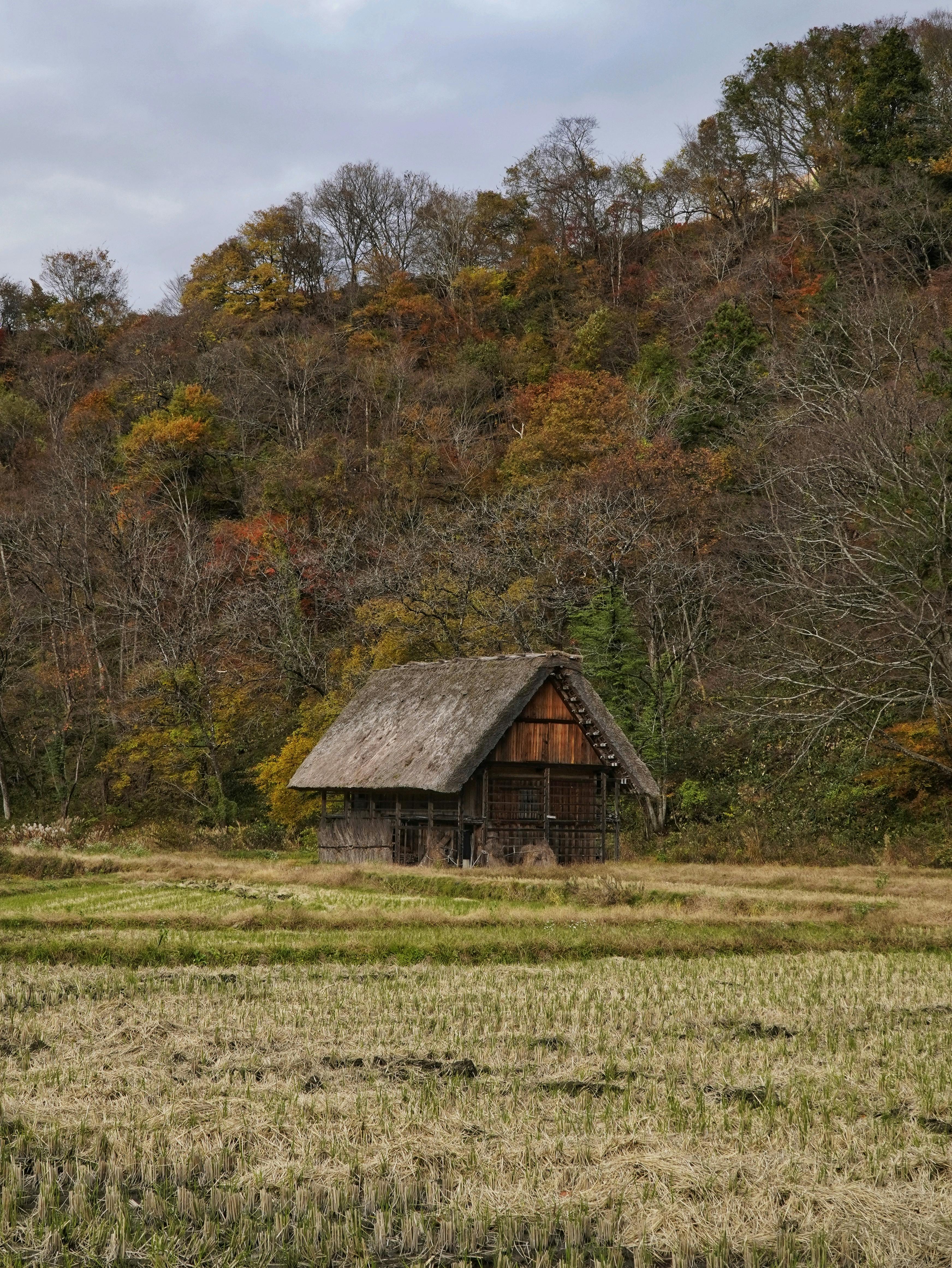 Traditional Japanese Farmhouse in Autumn Setting · Free Stock Photo