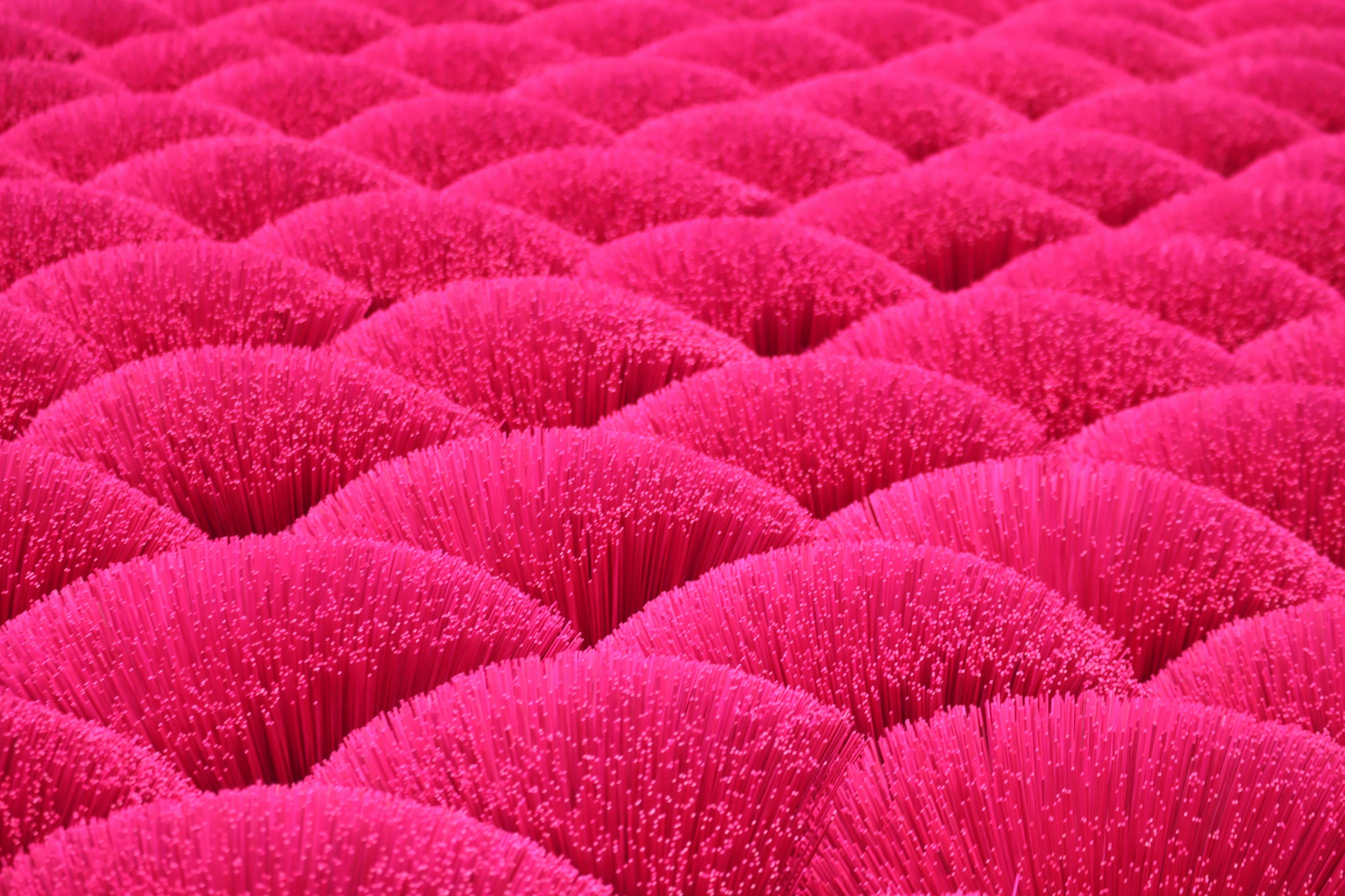 Vibrant Red Bristle Abstract Texture Pattern · Free Stock Photo