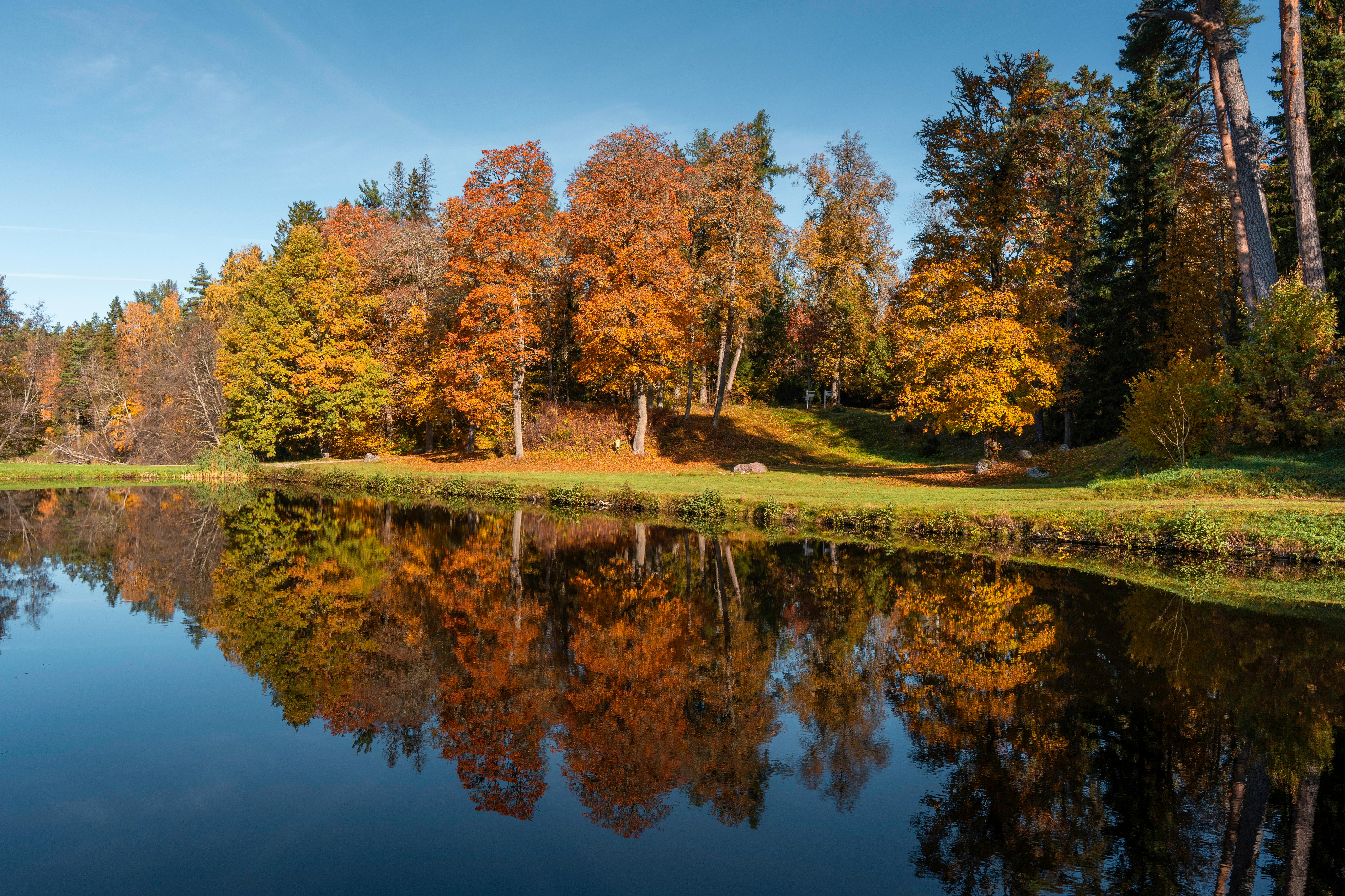 4k Badass Photos, Download The BEST Free 4k Badass Stock Photos & HD Images