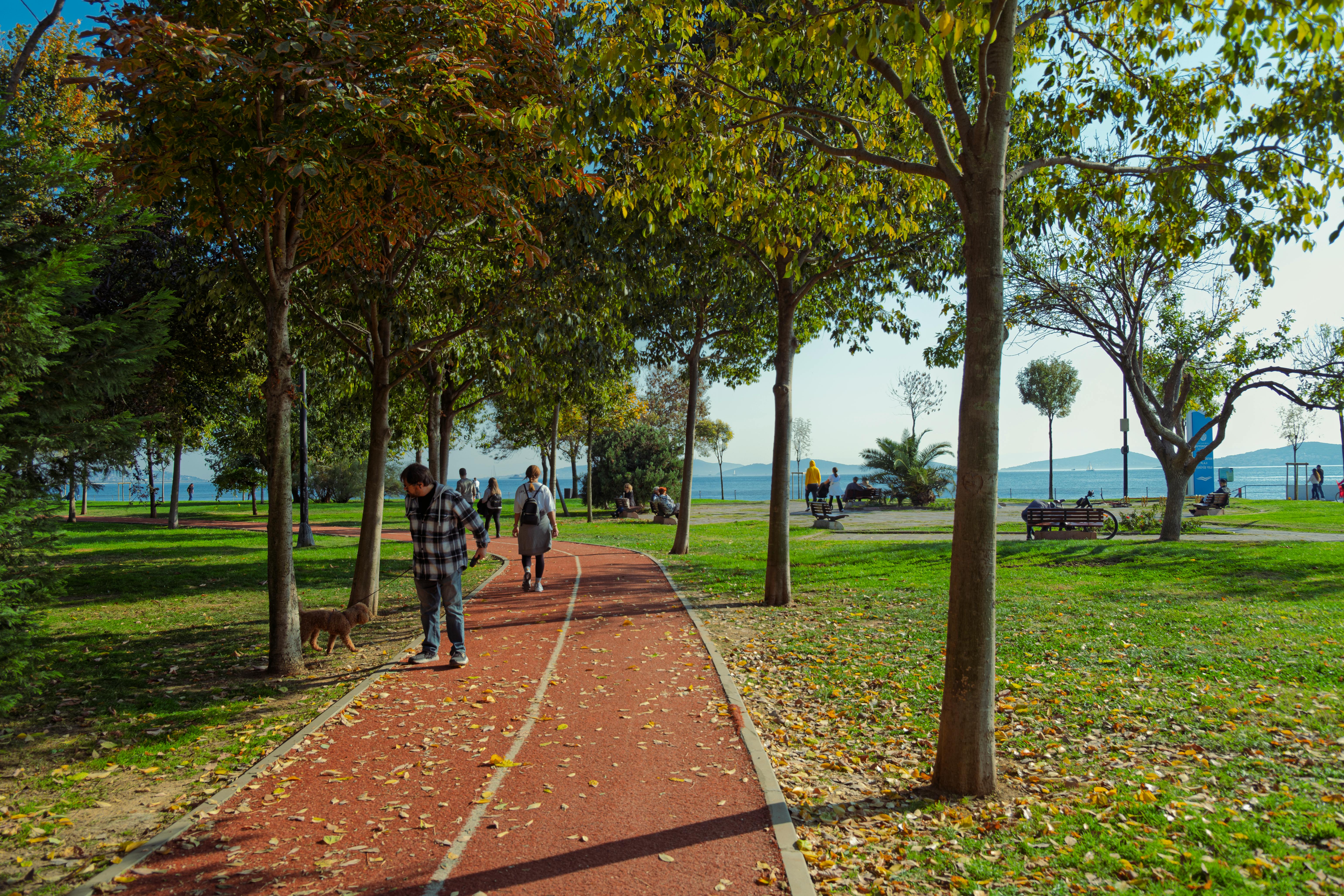 Jogging Person Photos, Download The BEST Free Jogging Person Stock ...