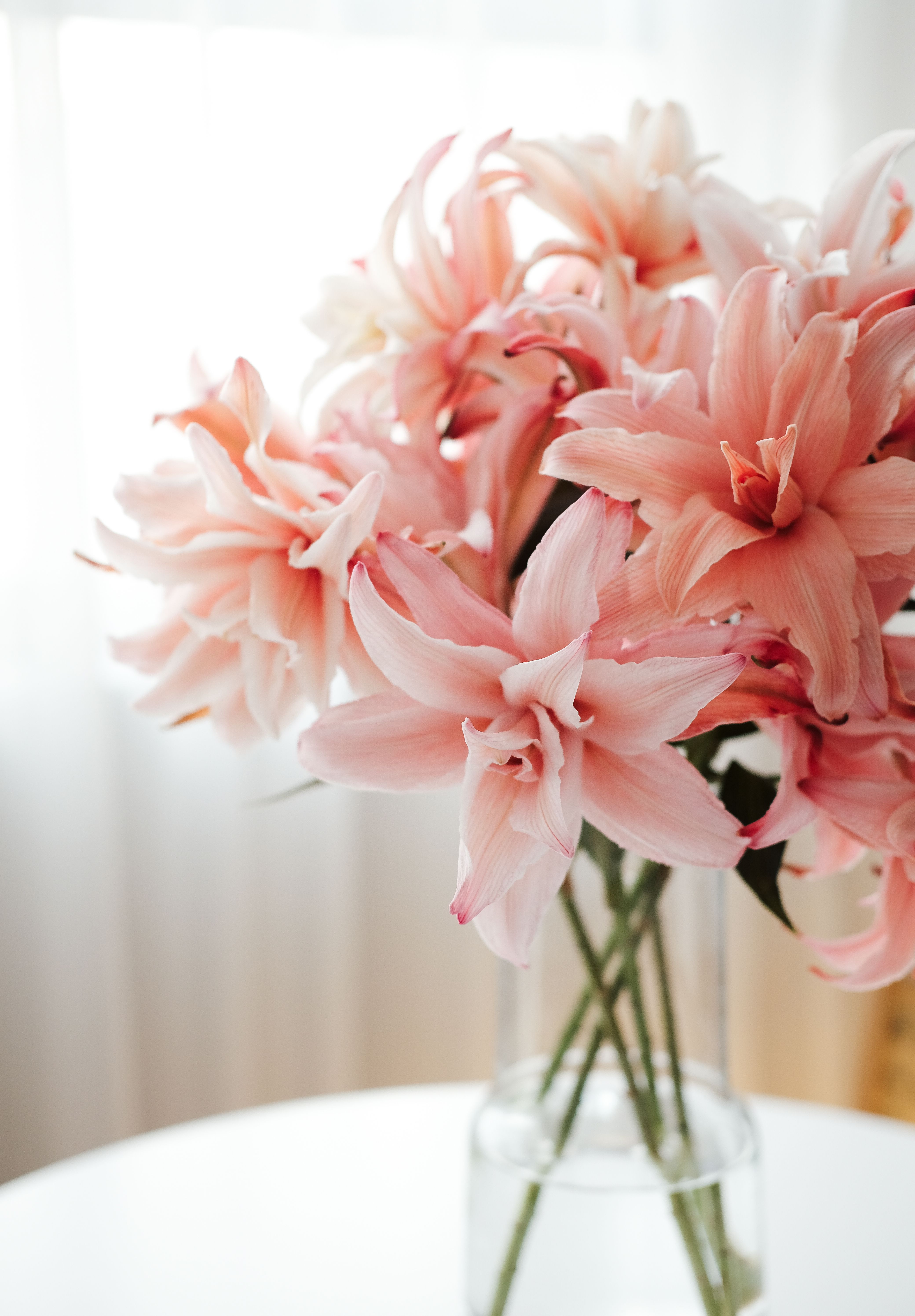 Lírios Cor De Rosa Elegantes Em Um Vaso De Vidro · Foto profissional ...
