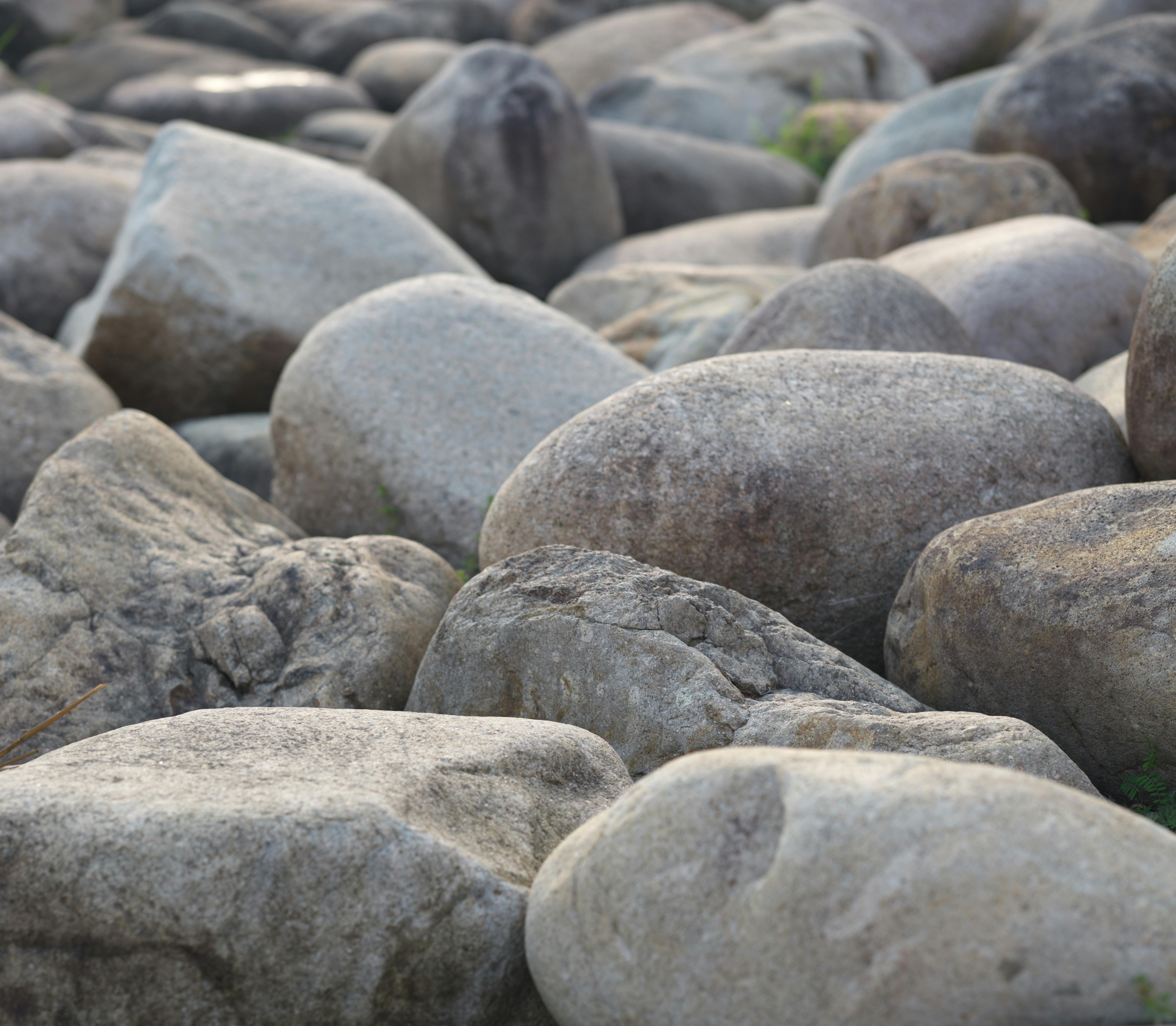 Smooth River Rocks in Outdoor Setting · Free Stock Photo