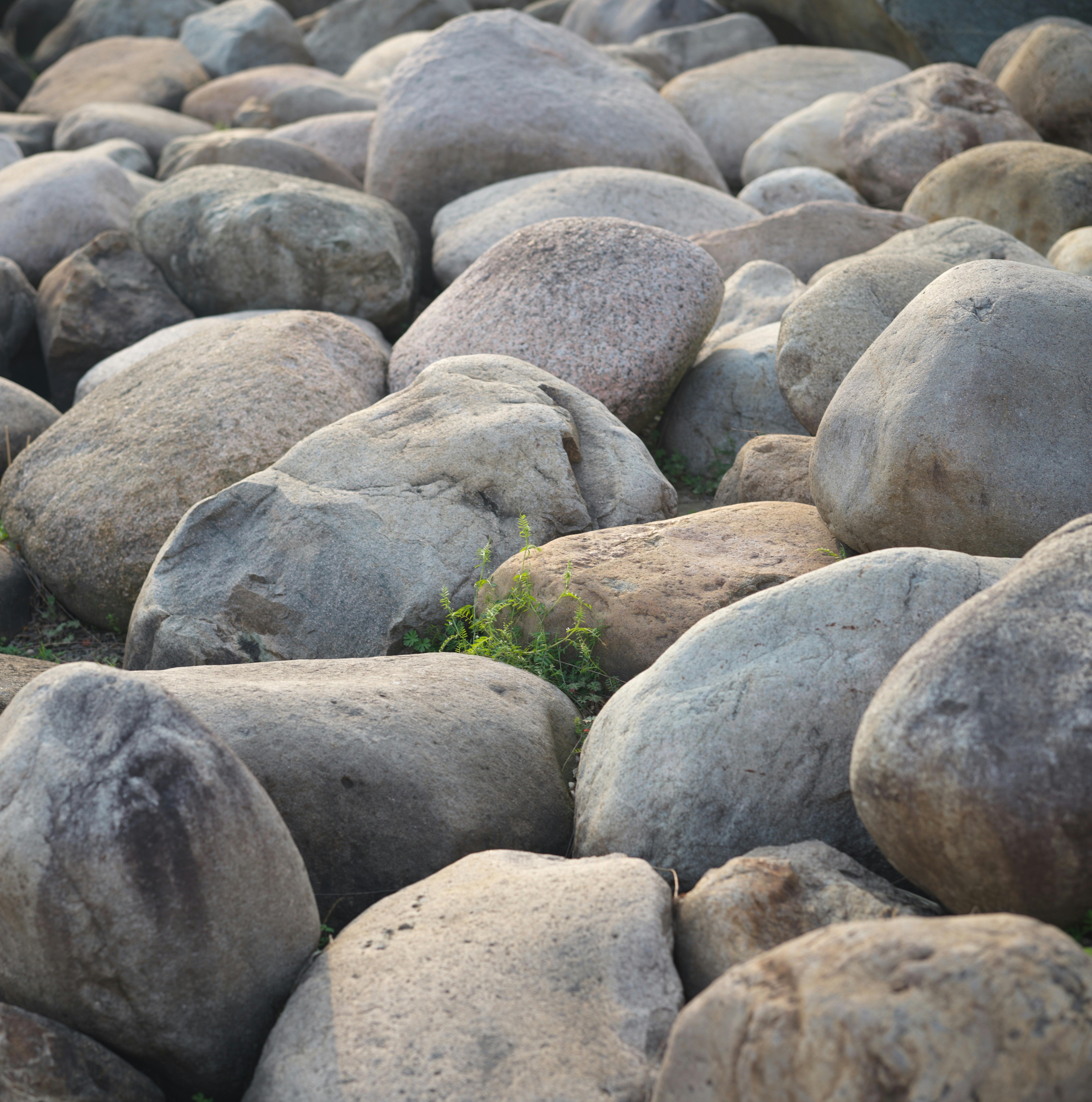 Natural Boulders in Jiangsu Province, China · Free Stock Photo