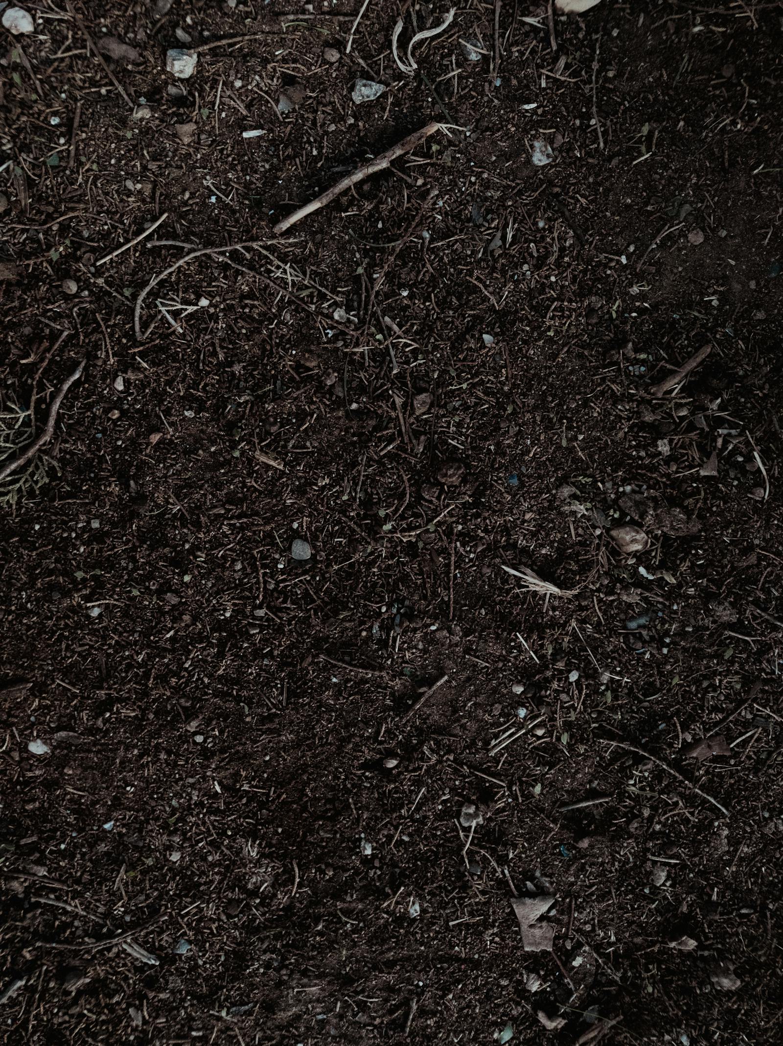 Dirt Texture Photos, Download The BEST Free Dirt Texture Stock Photos ...