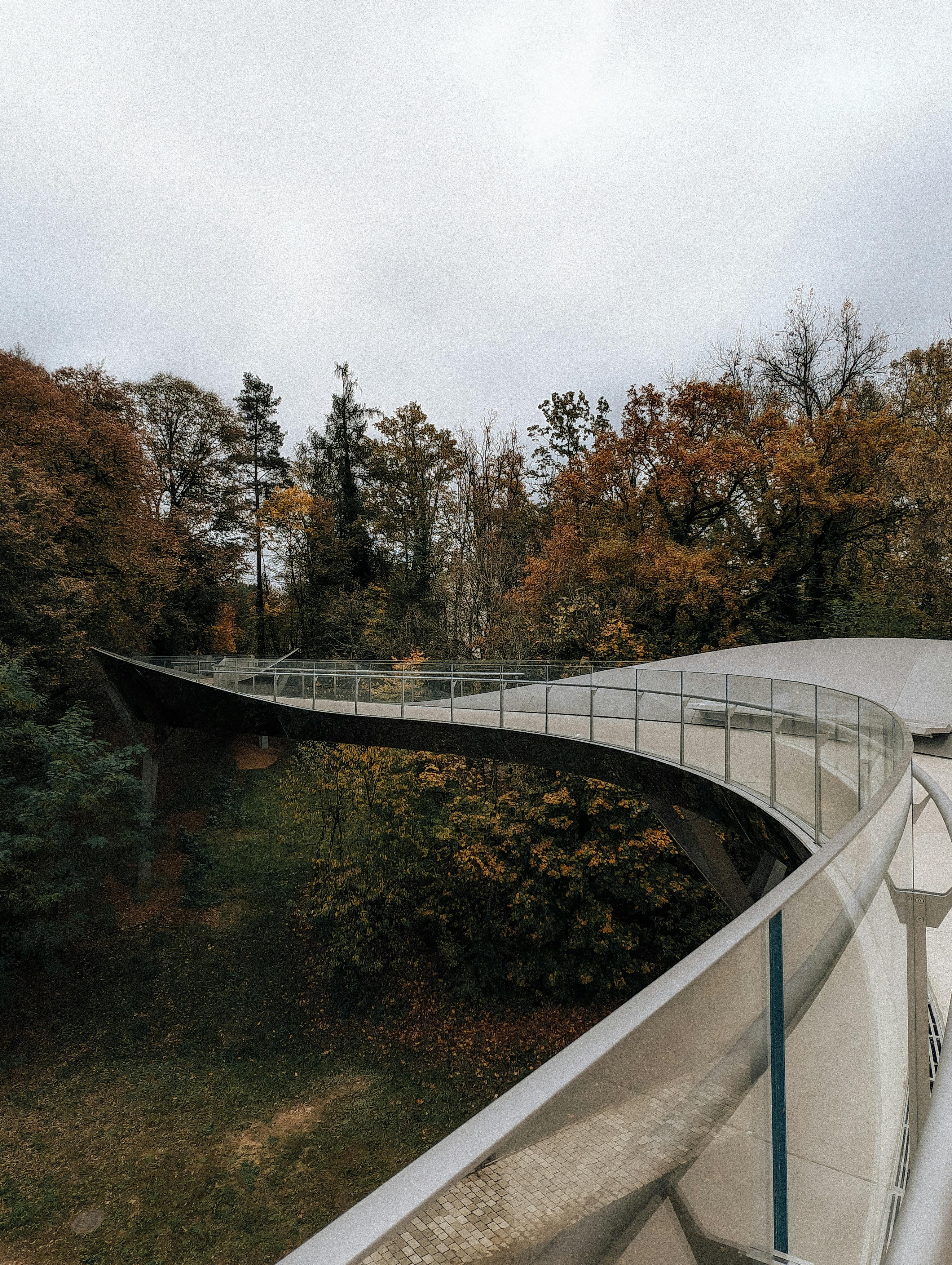 Modern Curved Bridge in Autumn Forest Setting · Free Stock Photo