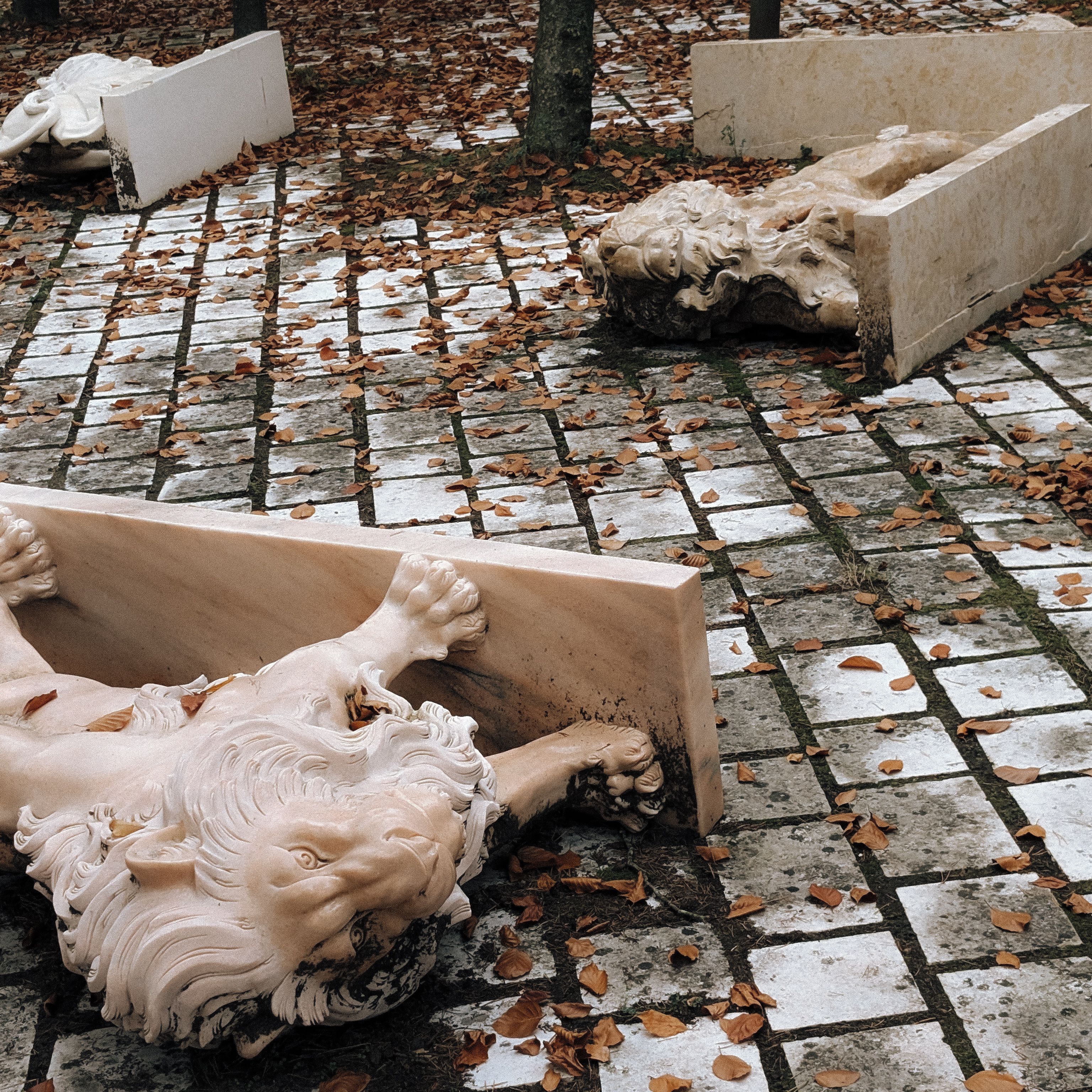 Fallen Lion Statues on Autumn Leaves in Luxembourg · Free Stock Photo