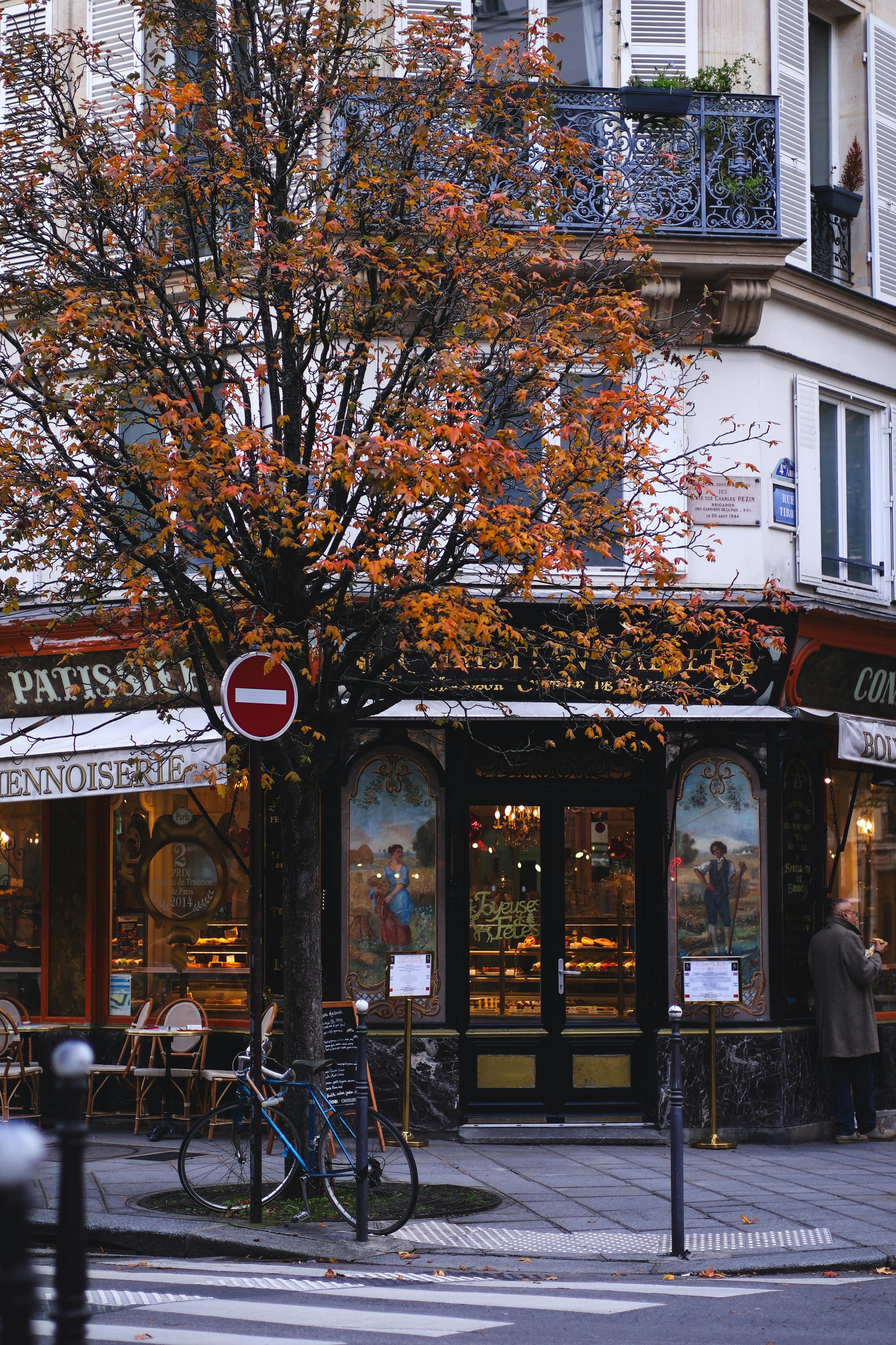 Charming Parisian Cafe Street Scene in Fall · Free Stock Photo
