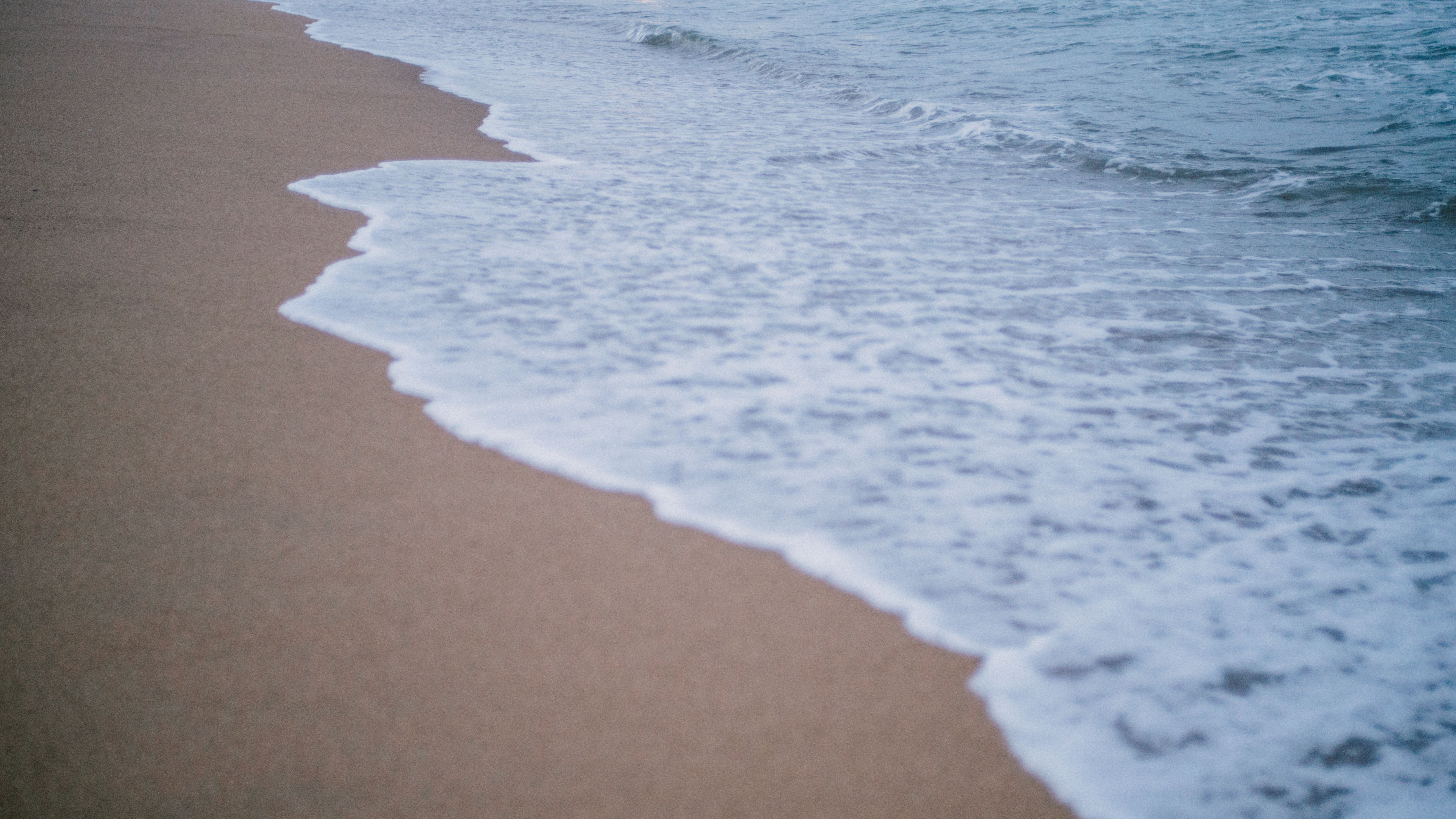 Closeup Photo of Seashore · Free Stock Photo