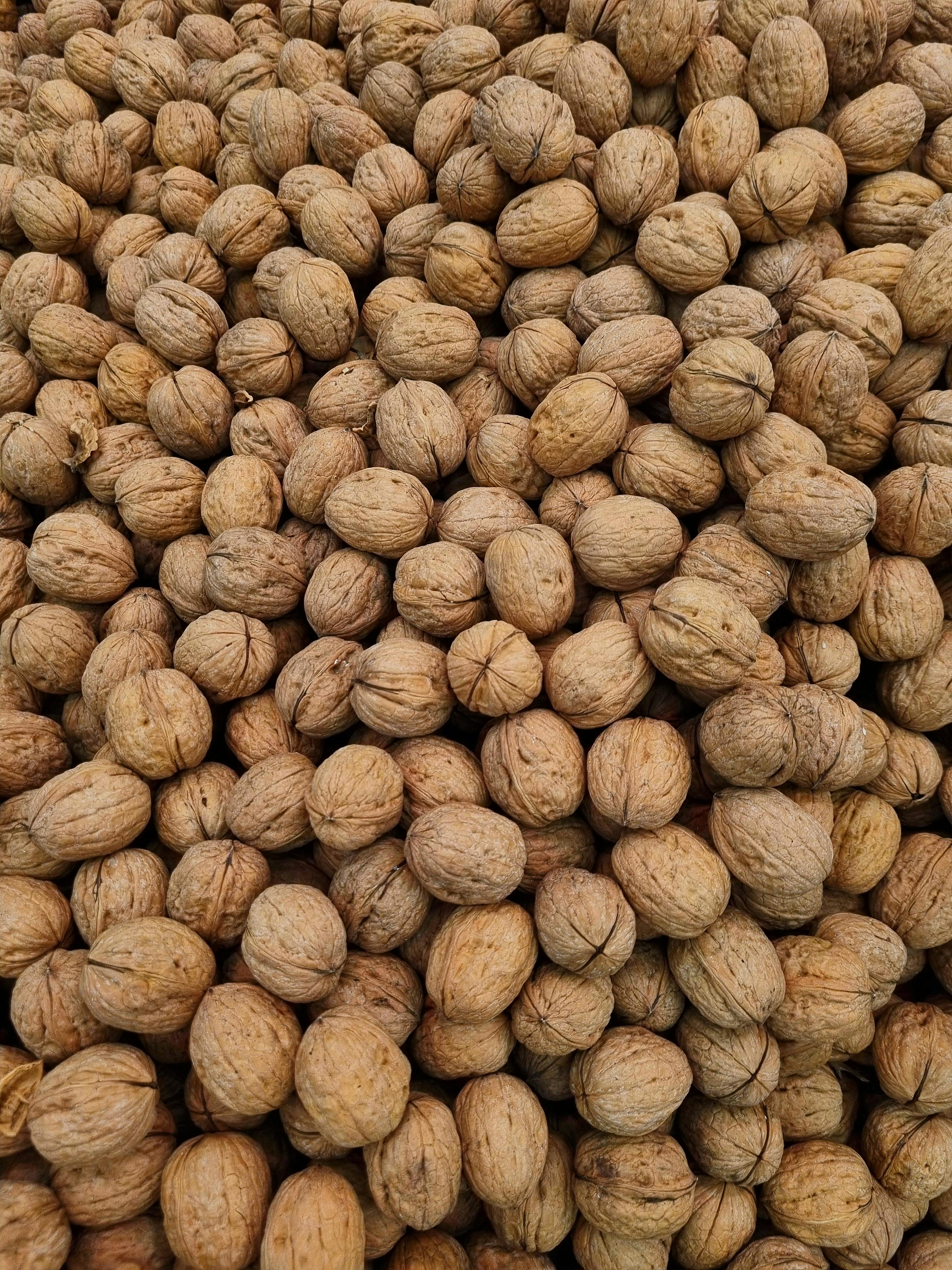 Pile of Unshelled Walnuts at Brazilian Market · Free Stock Photo