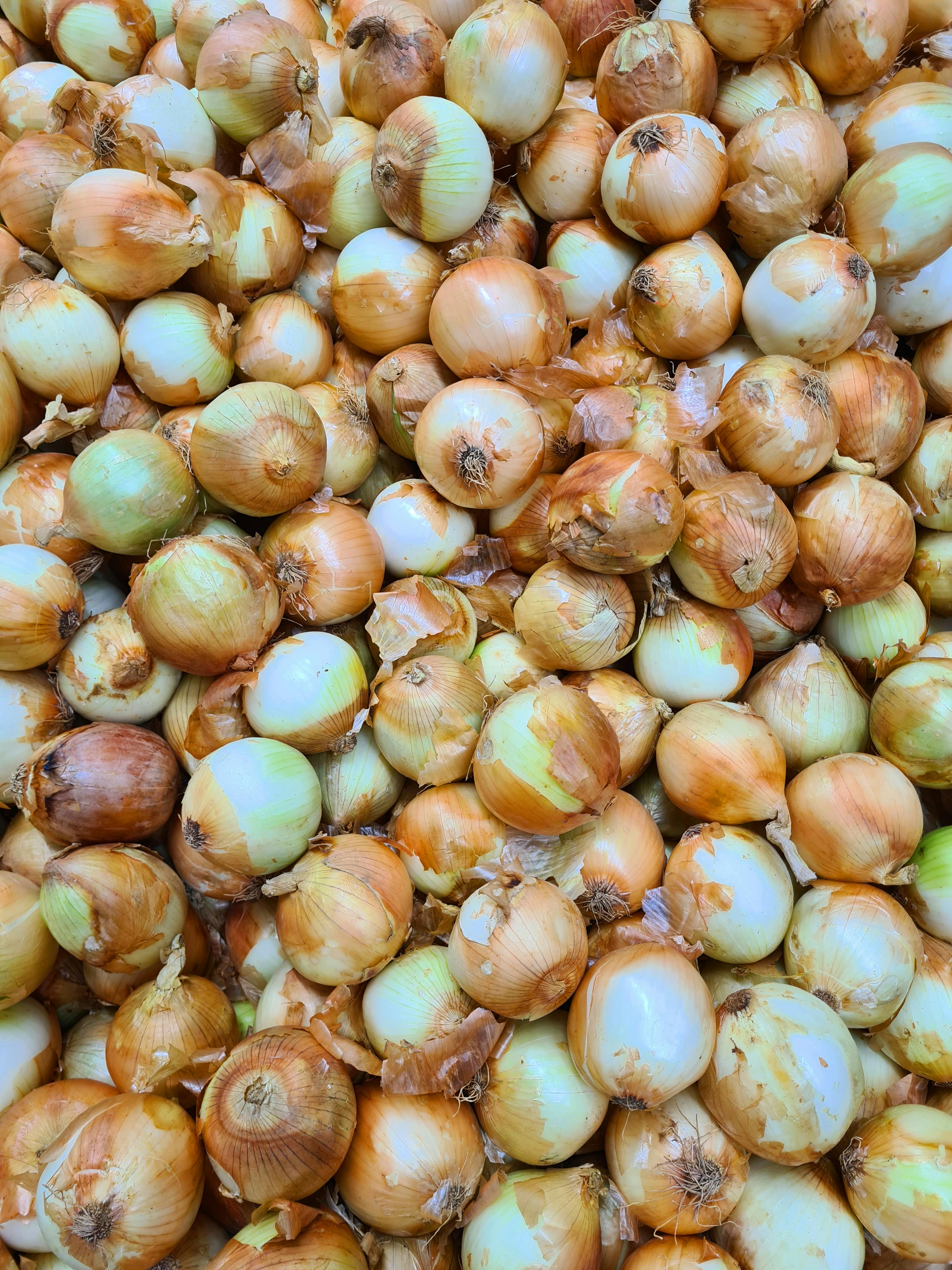 Latar Belakang Bawang Segar Lapisan Rasa Yang Cerah Untuk Inspirasi ...