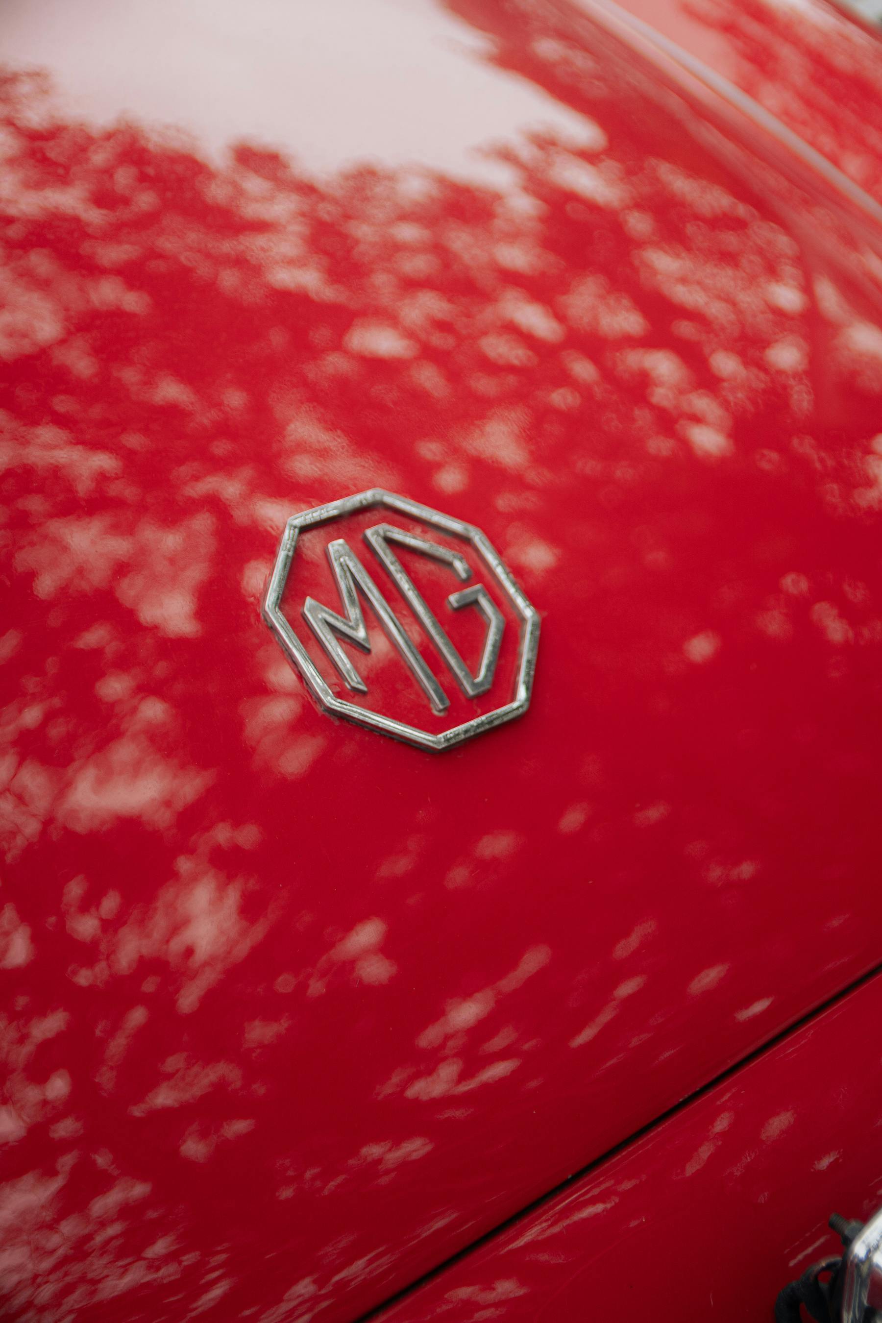 Octagon Emblem Photos, Download The BEST Free Octagon Emblem Stock ...