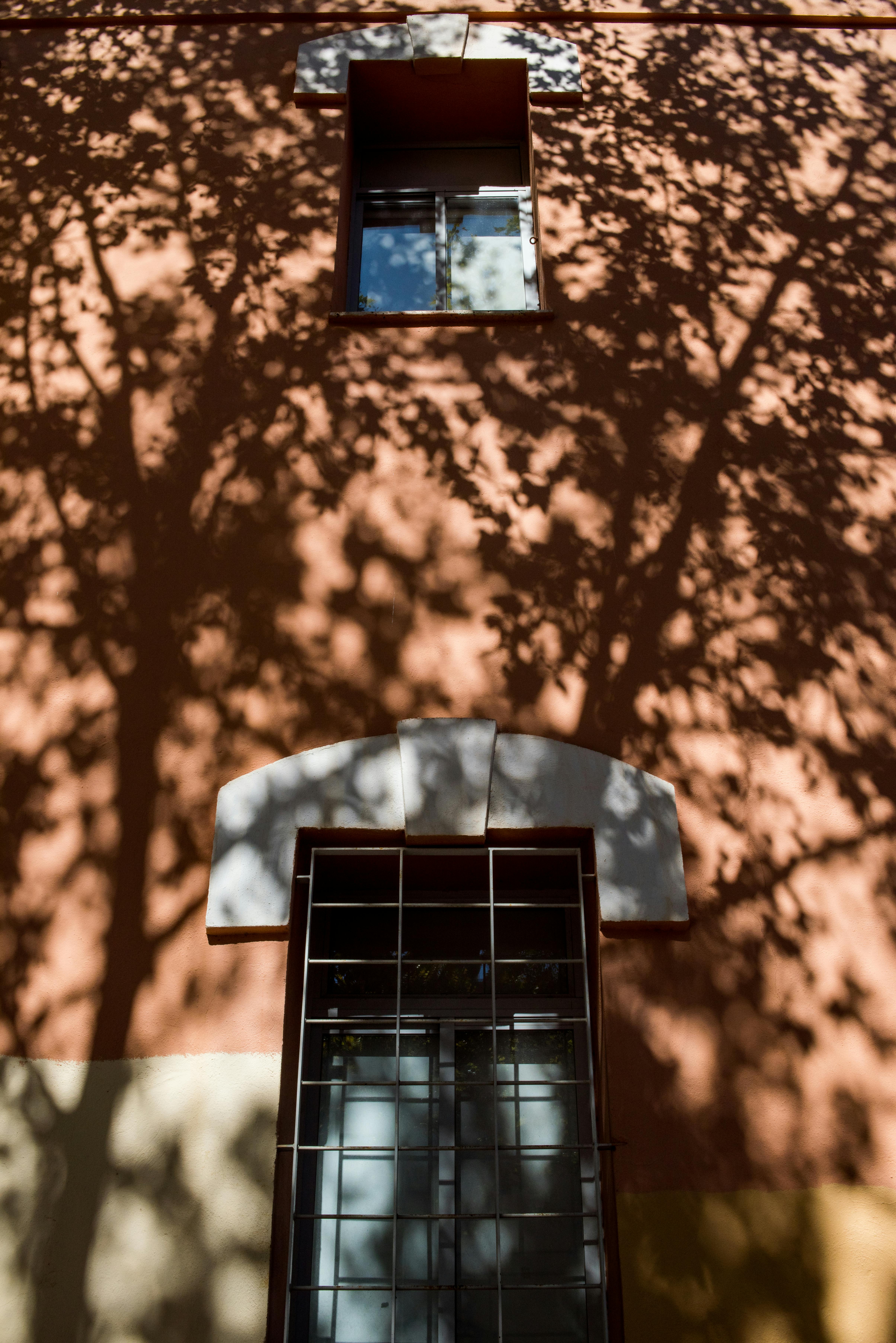 Sunny Building Facade with Tree Shadows · Free Stock Photo