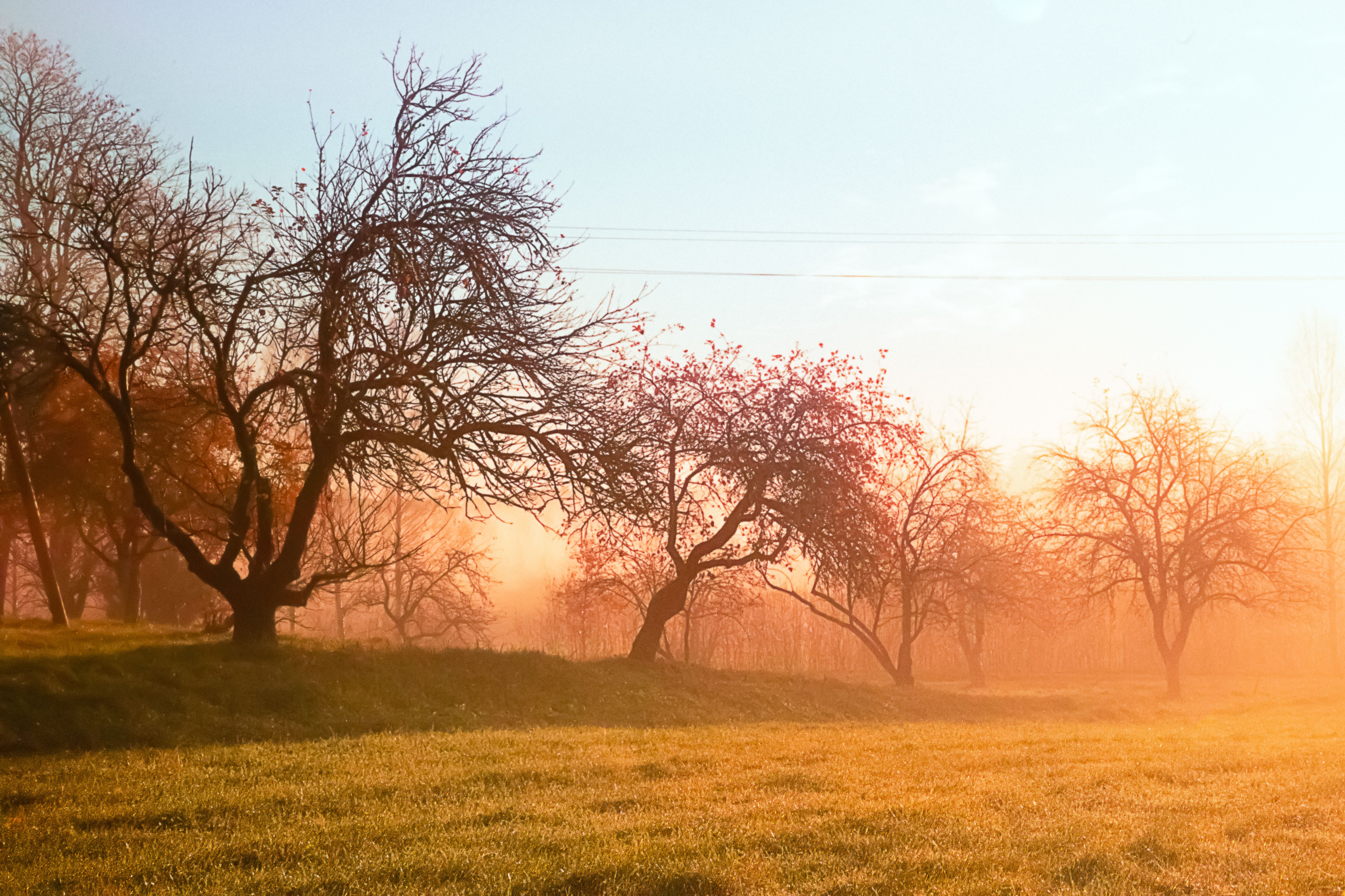 Misty Autumn Morning in Latvian Countryside · Free Stock Photo