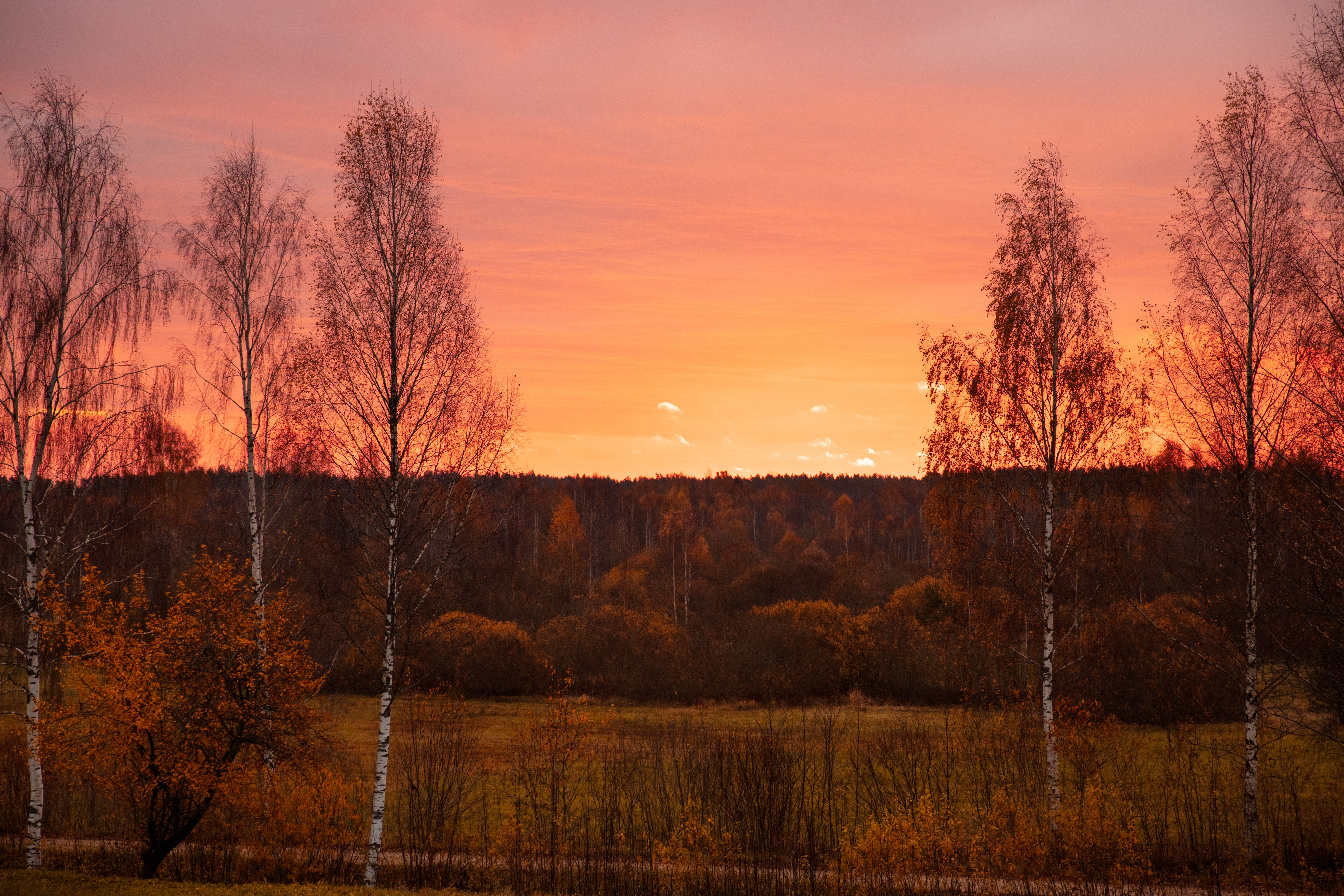 Serene Autumn Sunrise in Latvian Countryside · Free Stock Photo