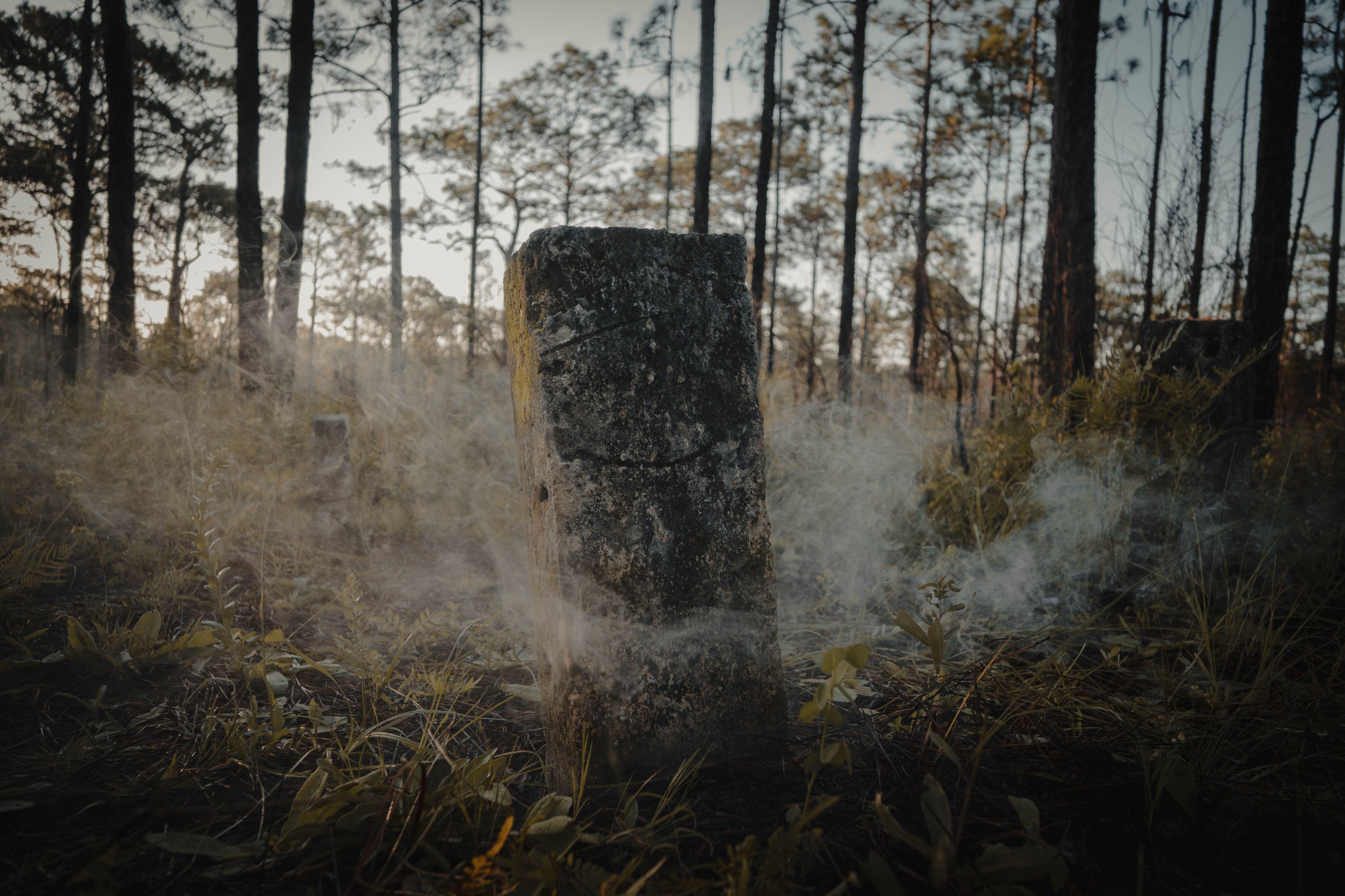 Mysterious Stone Monument in Florida Forest · Free Stock Photo