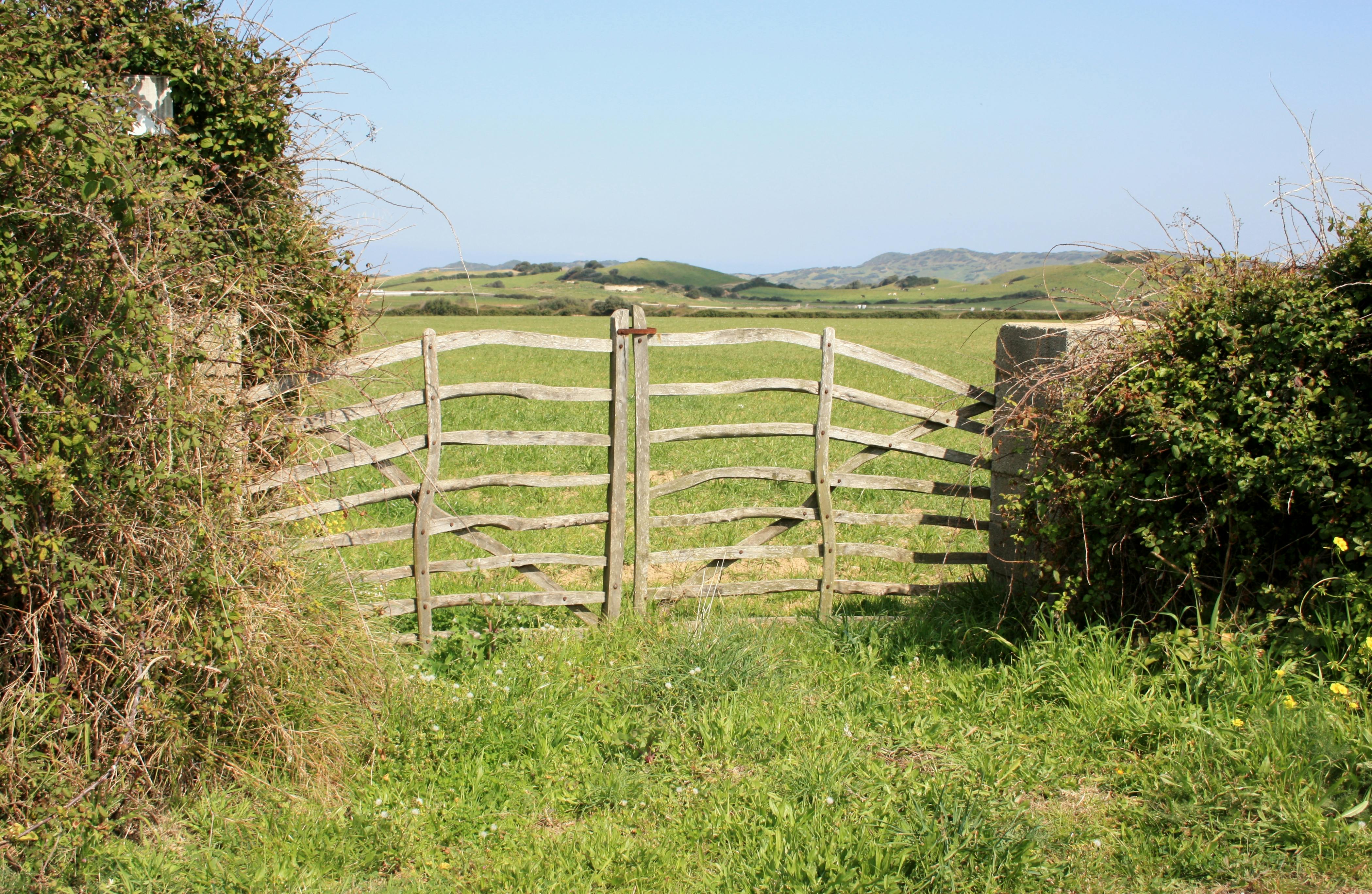 Rustic Wooden Gate in Lush Countryside Landscape · Free Stock Photo