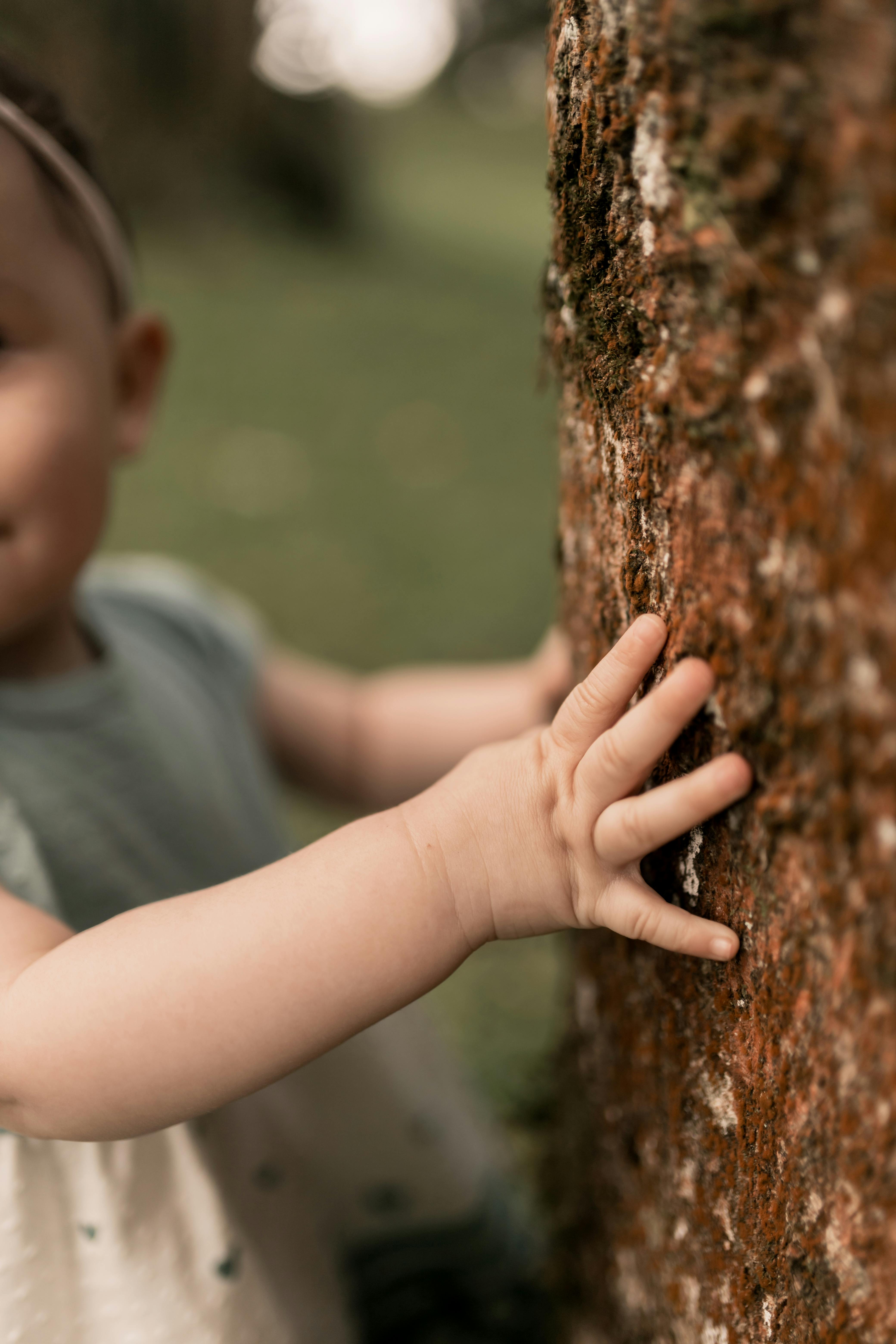 Child's Hand Touching Mossy Tree Outdoors · Free Stock Photo