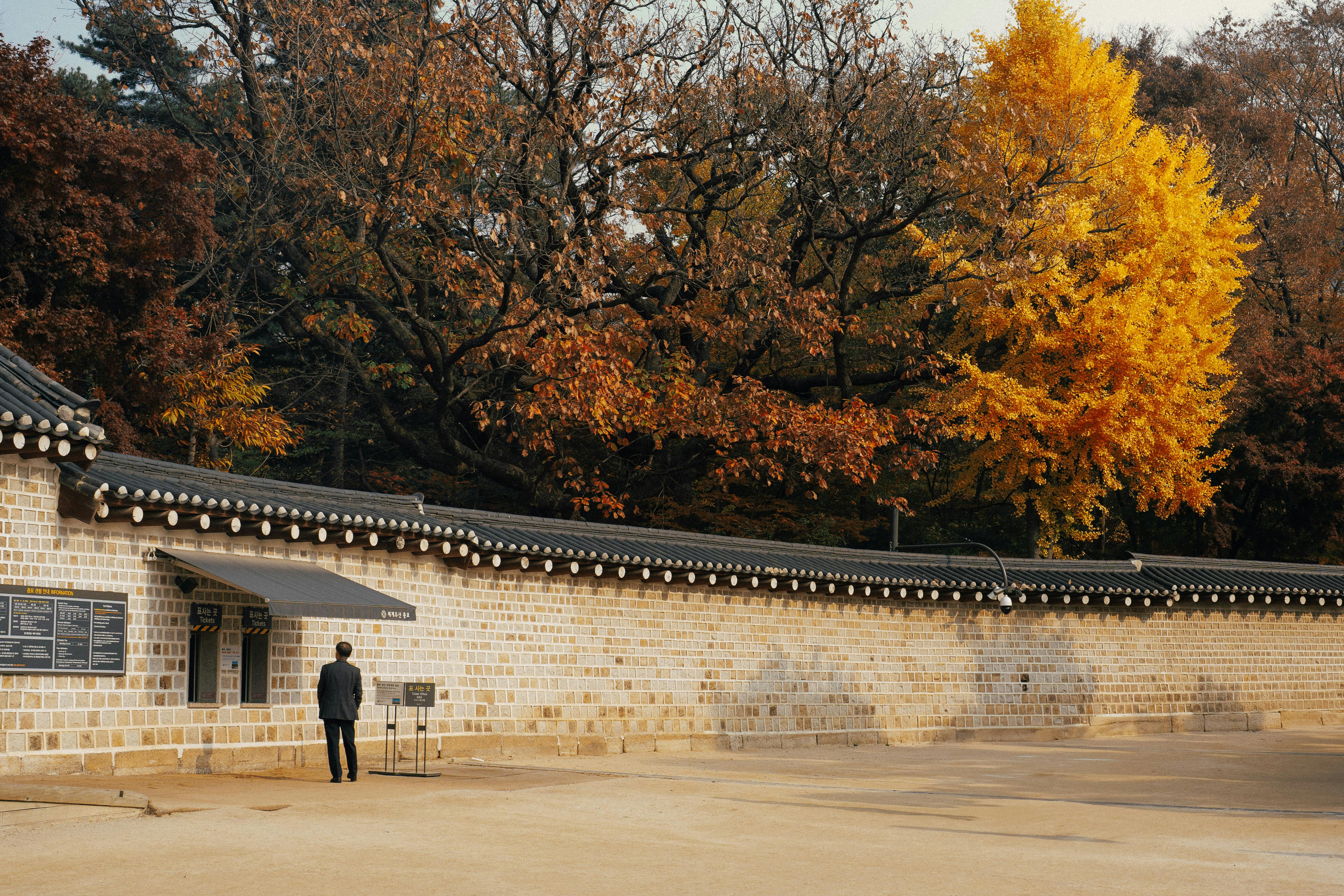 Historic Wall and Autumn Foliage in Seoul · Free Stock Photo