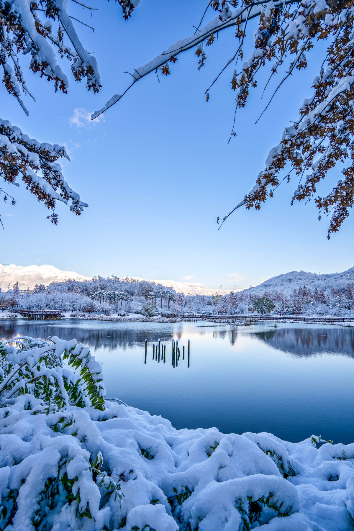 Snowy Landscape Photos, Download The BEST Free Snowy Landscape Stock ...