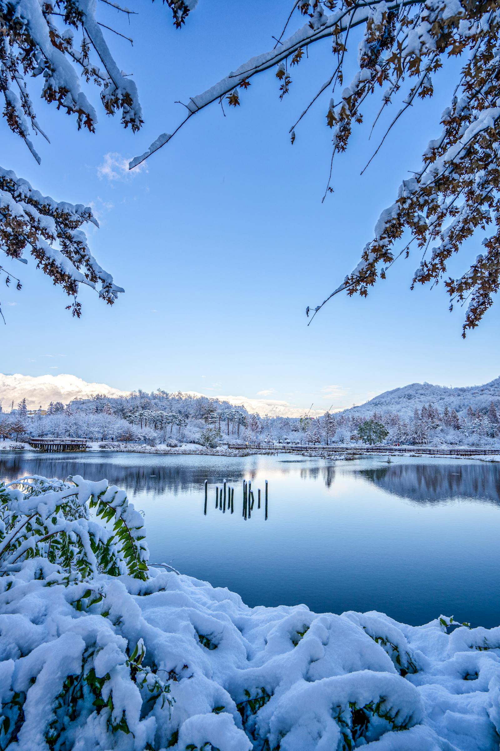 Snowy Landscape Photos, Download The BEST Free Snowy Landscape Stock ...
