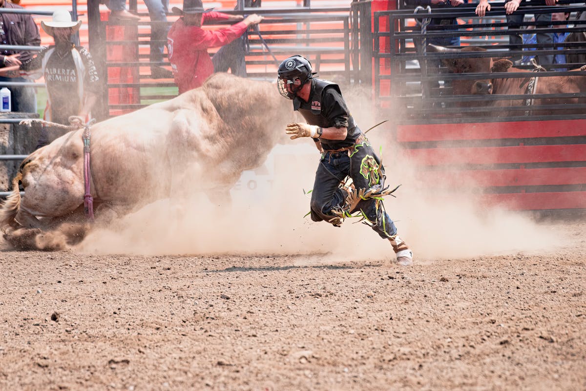 Bull Riding Photos, Download The BEST Free Bull Riding Stock Photos ...