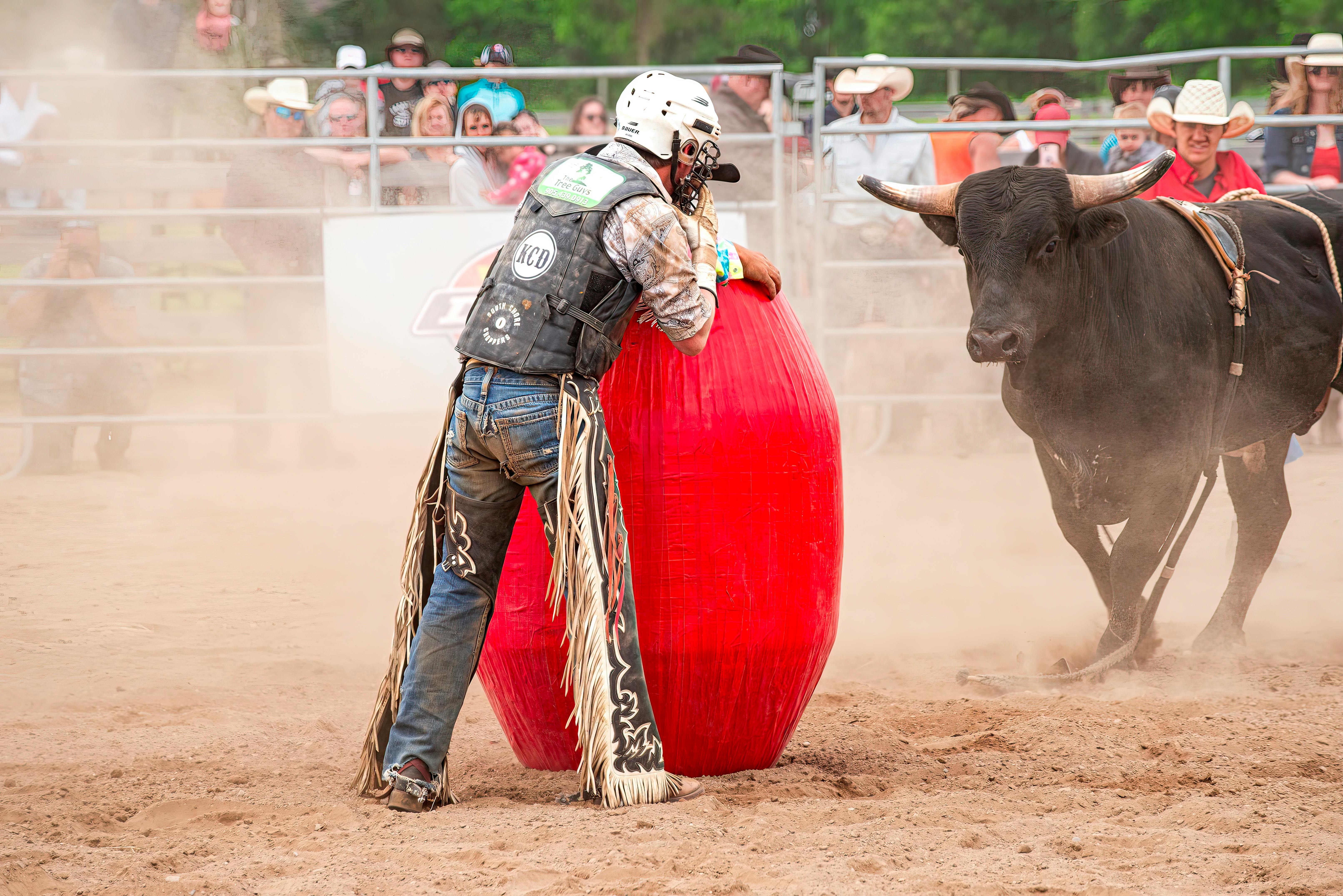 Escena De Acción Dinámica De Corrida De Toros De Rodeo · Foto de stock ...
