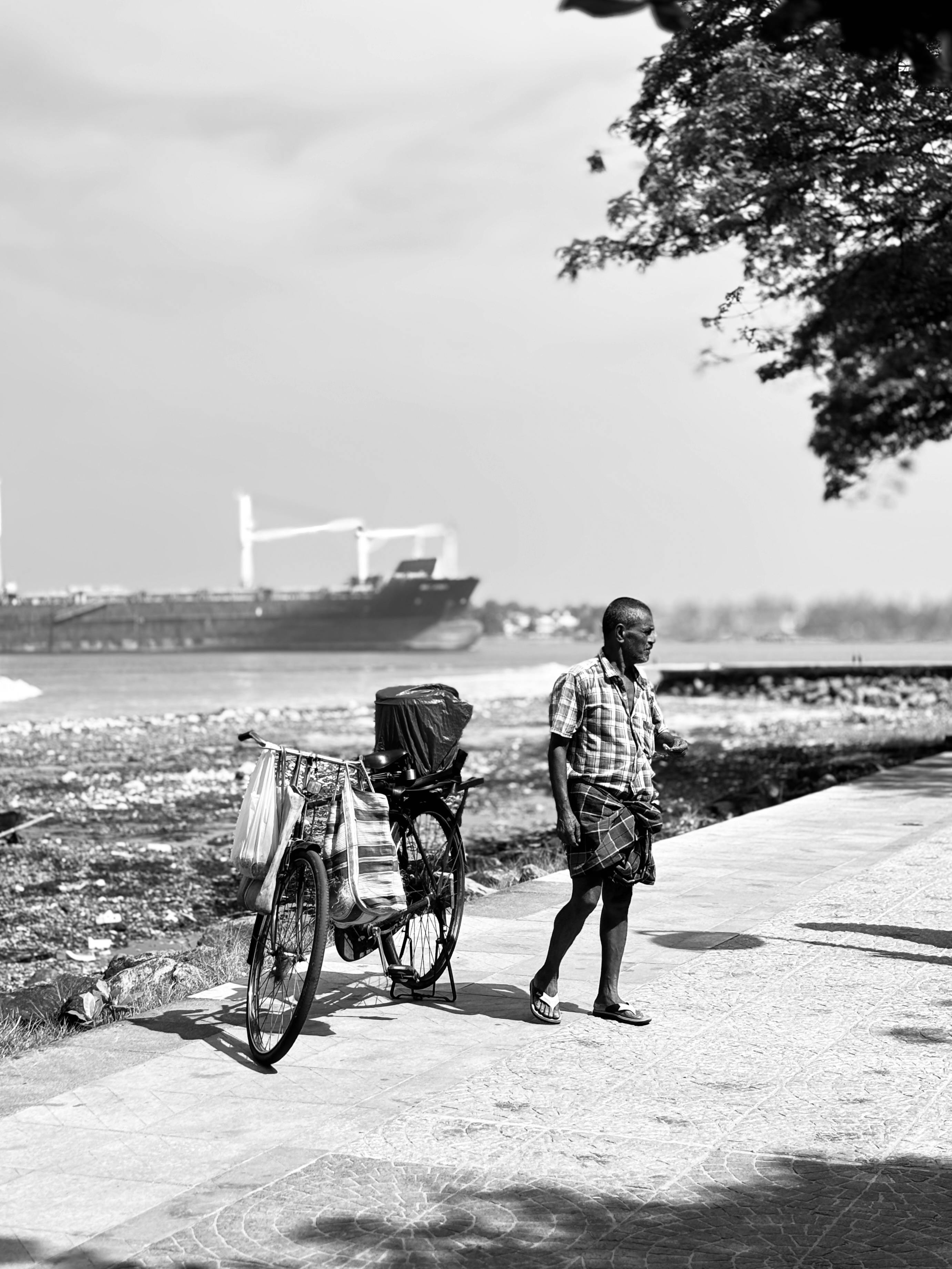 Kochi Sin Zool Photos, Download The BEST Free Kochi Sin Zool Stock ...