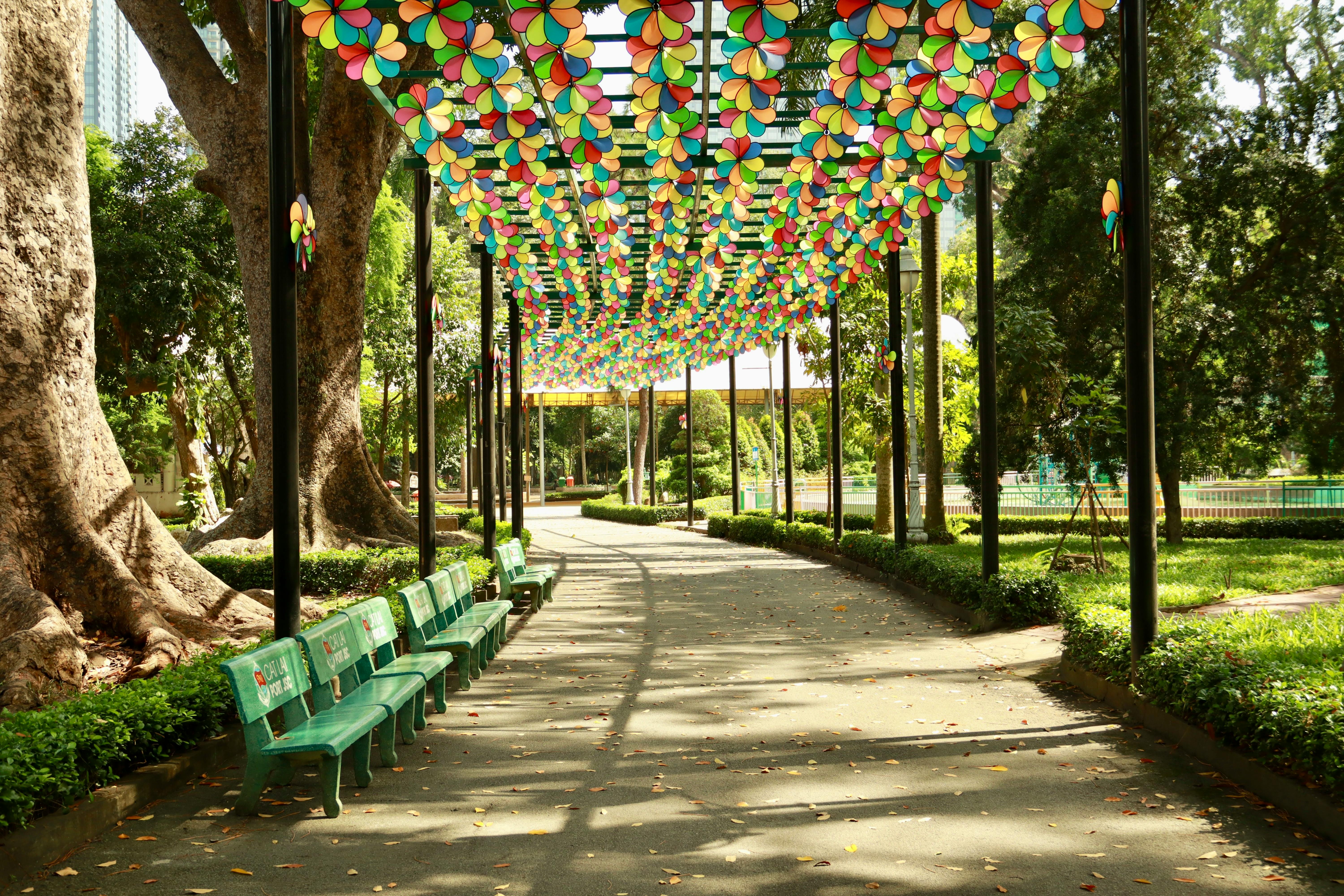 Colorful Canopy in Serene Urban Park · Free Stock Photo