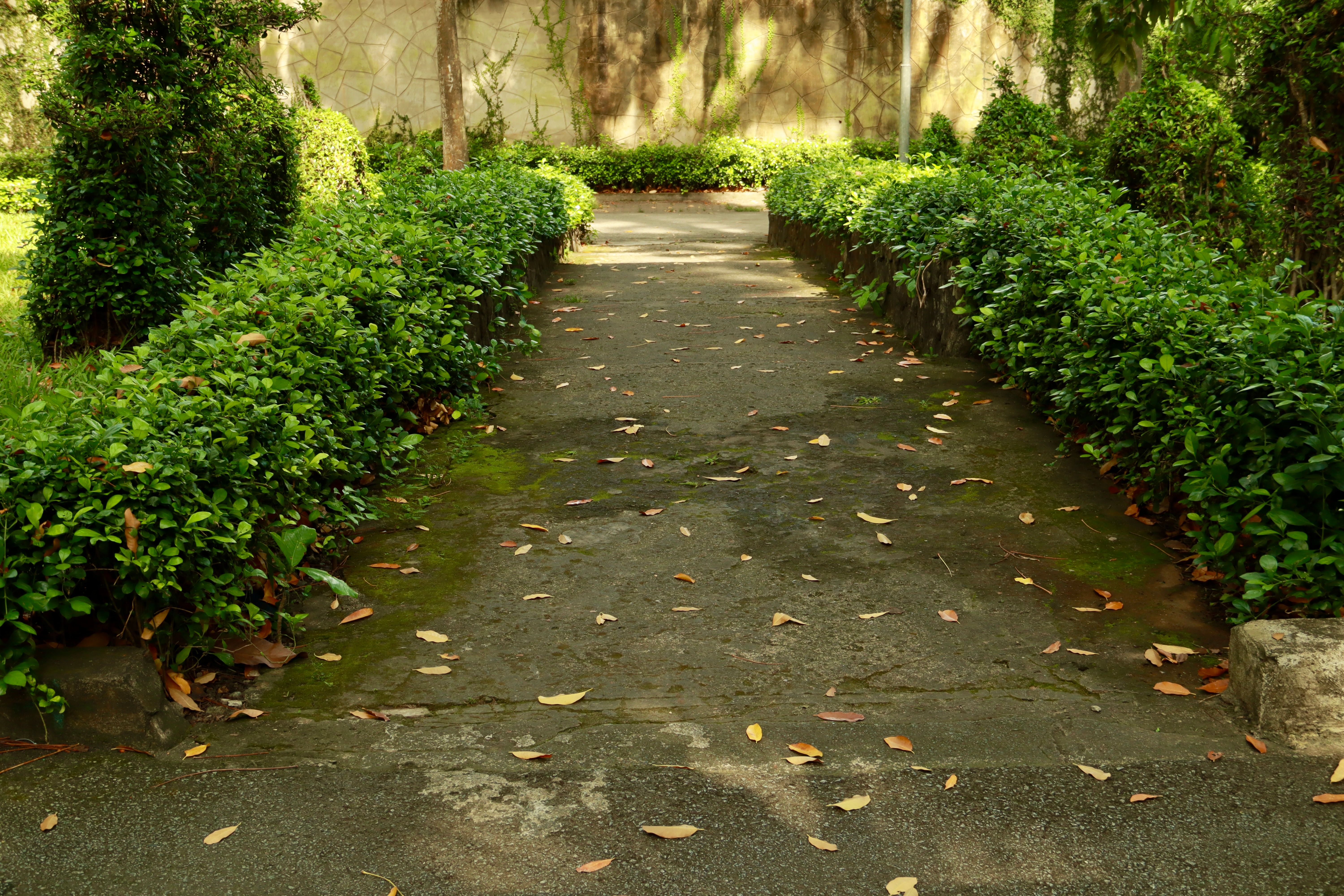 Lush Ground Skarm Photos, Download The BEST Free Lush Ground Skarm ...