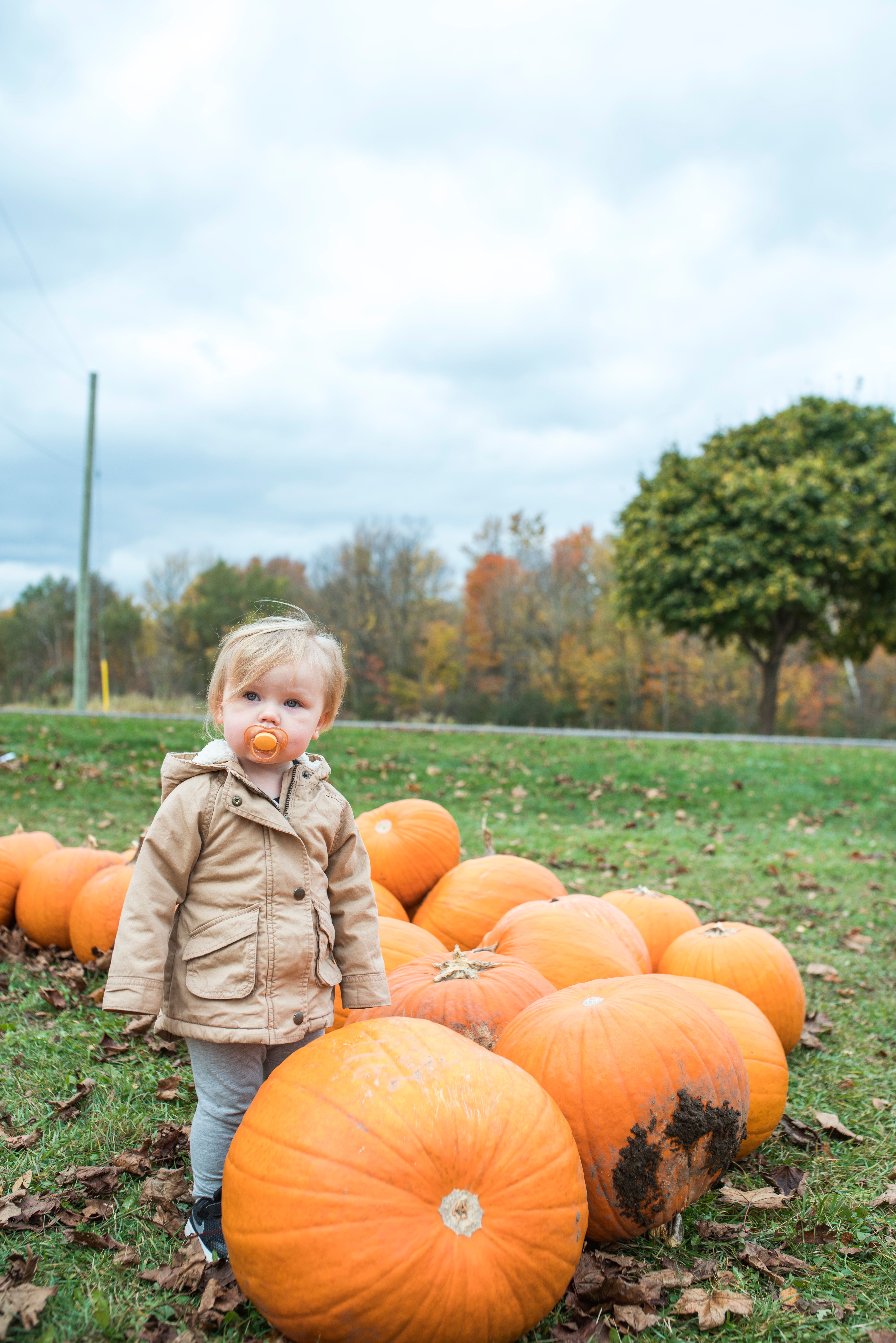 Niño Pequeño En Un Huerto De Calabazas De Otoño Al Aire Libre · Foto de ...